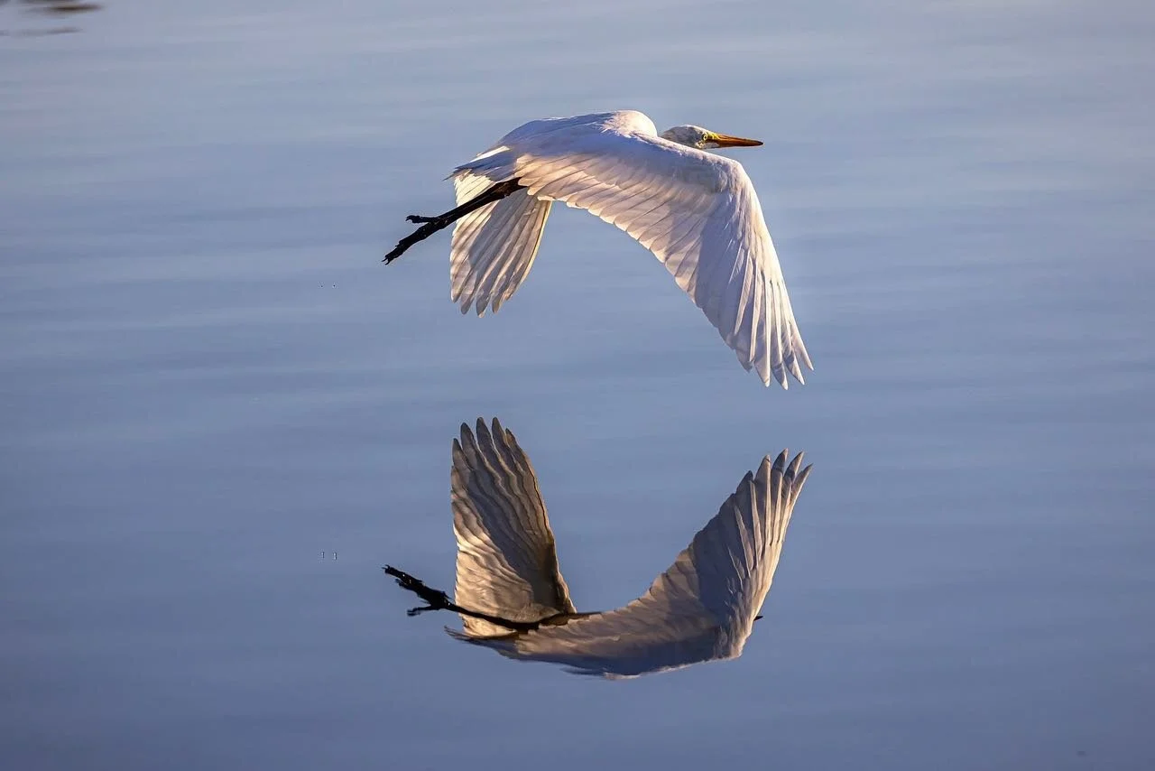 Most Recent Shows — The Spring Street Gallery