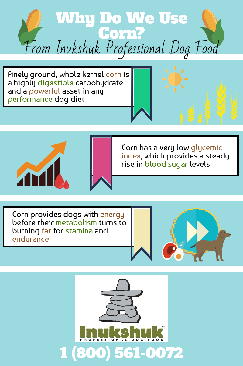 The Myths and Misinformation Surrounding Corn — Inukshuk Professional ...