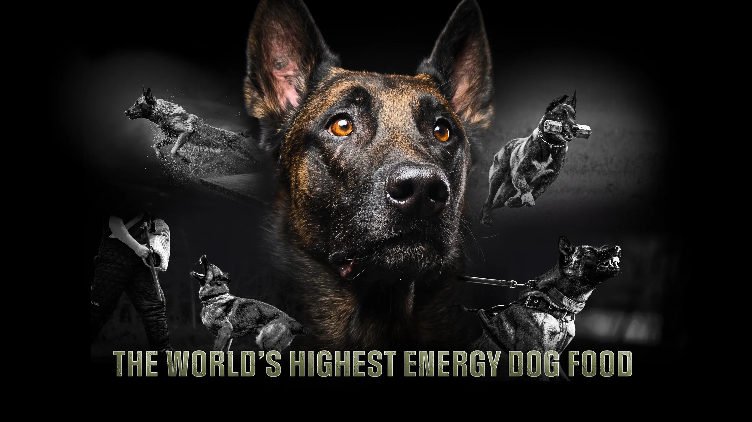 Inukshuk Professional Dog Food