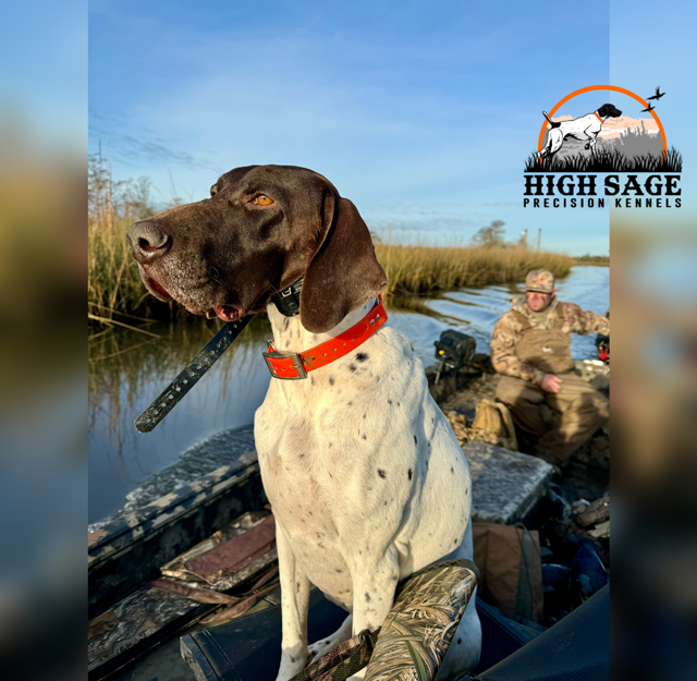 Fuel your hunting team with Inukshuk | Inukshuk Professional Dog Food