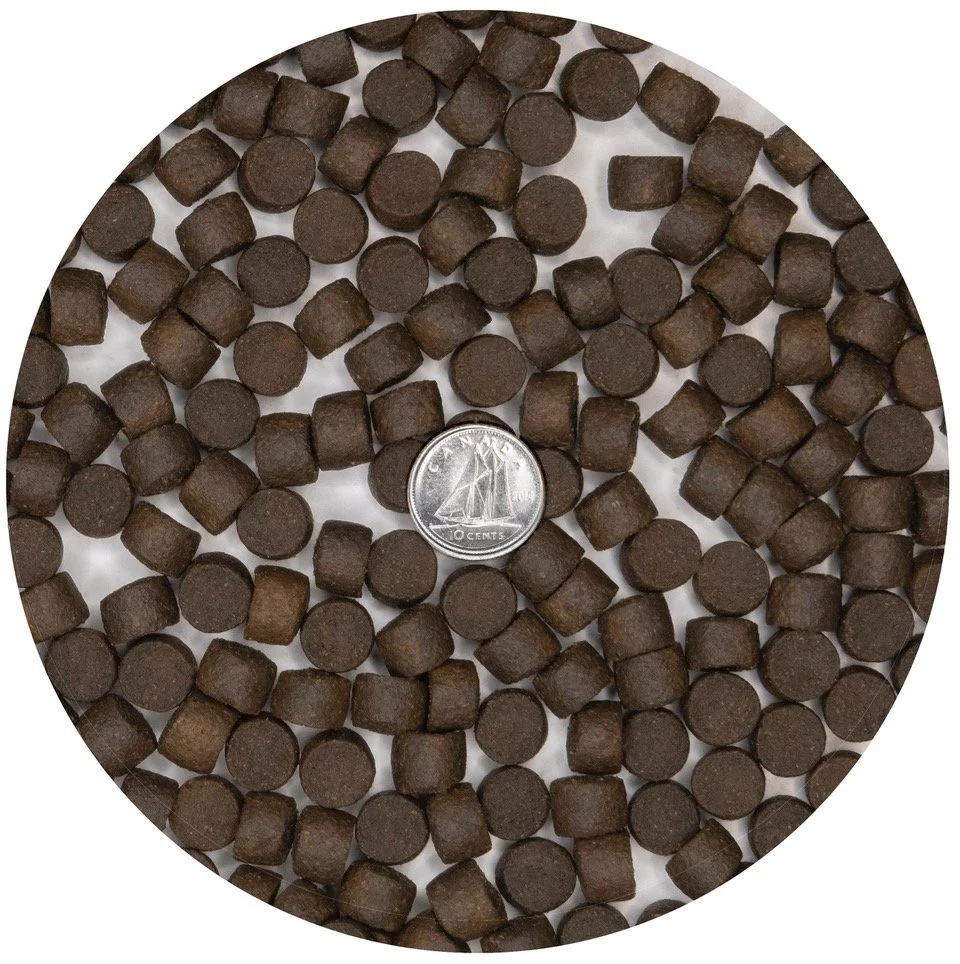 Marine 25 Product Canadian E-commerce | Inukshuk Professional Dog Food