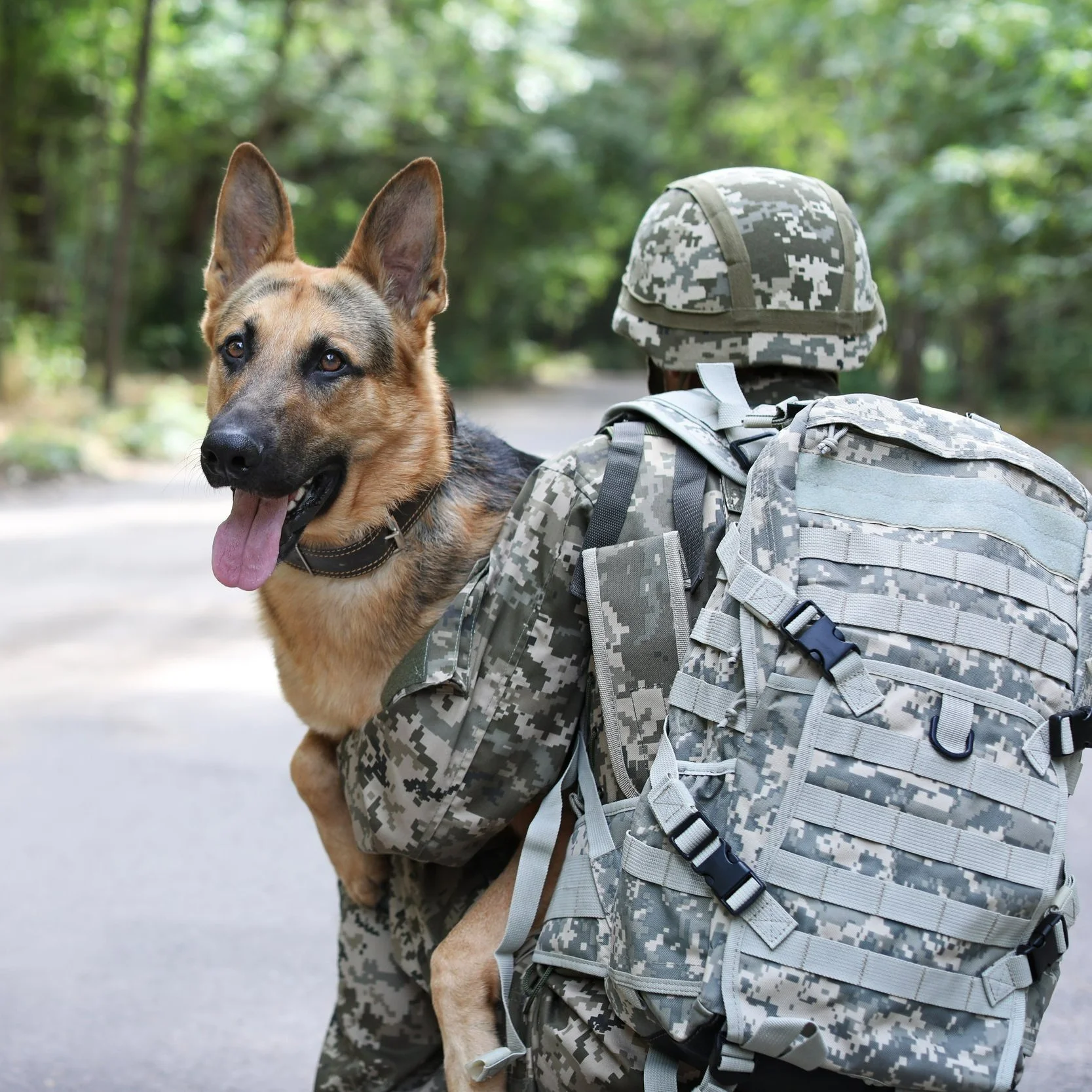 Police K9 Radio | Inukshuk Professional Dog Food