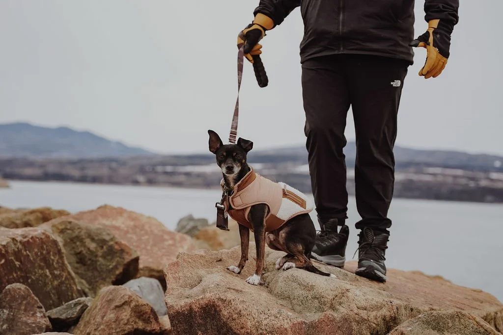 [Charlevoix, La Malbaie] La jetée de Pointe-au-Pic — On va se promener