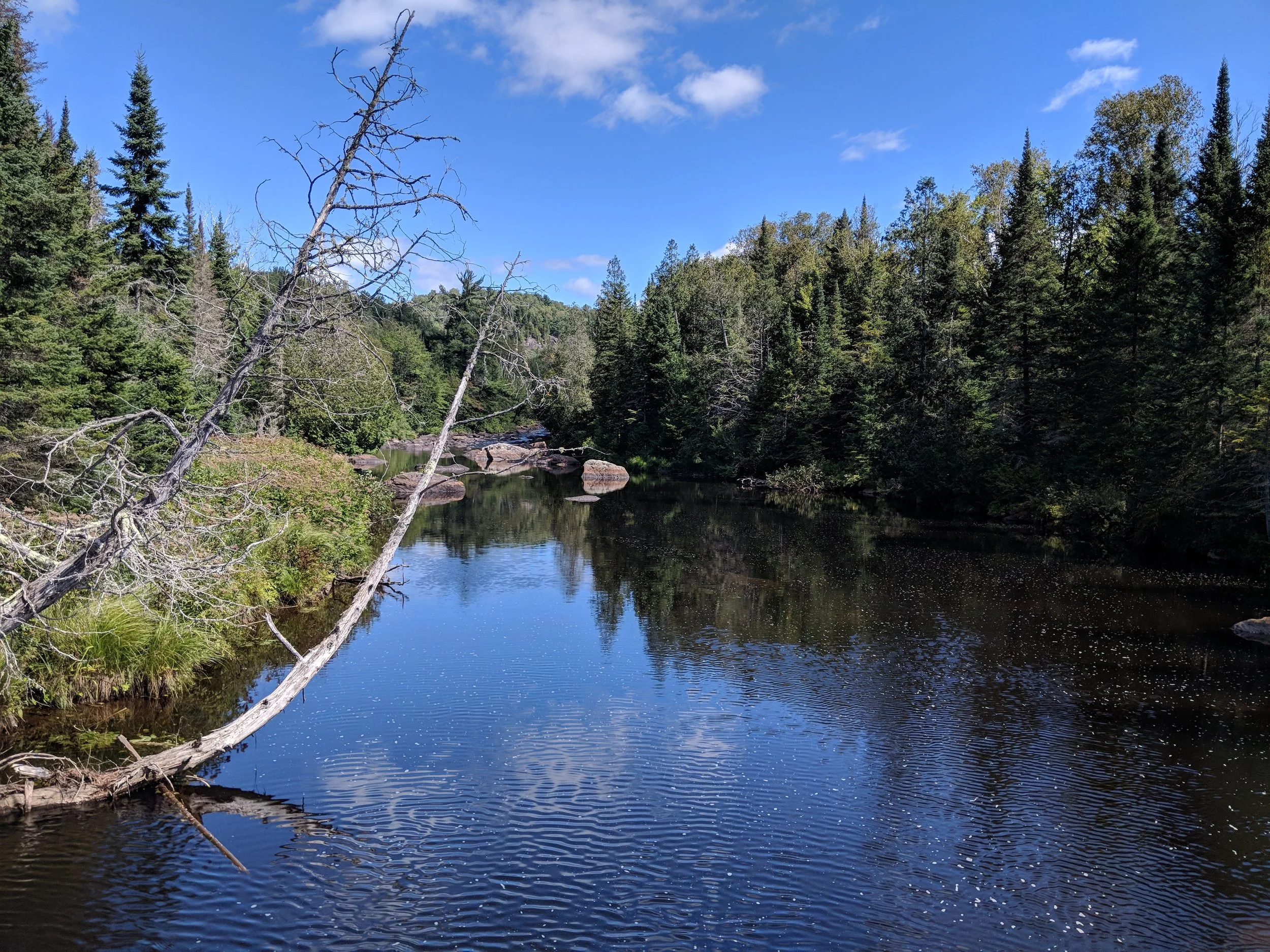[Laurentides, St-Adèle] Parc de la rivière Doncaster — On va se promener?