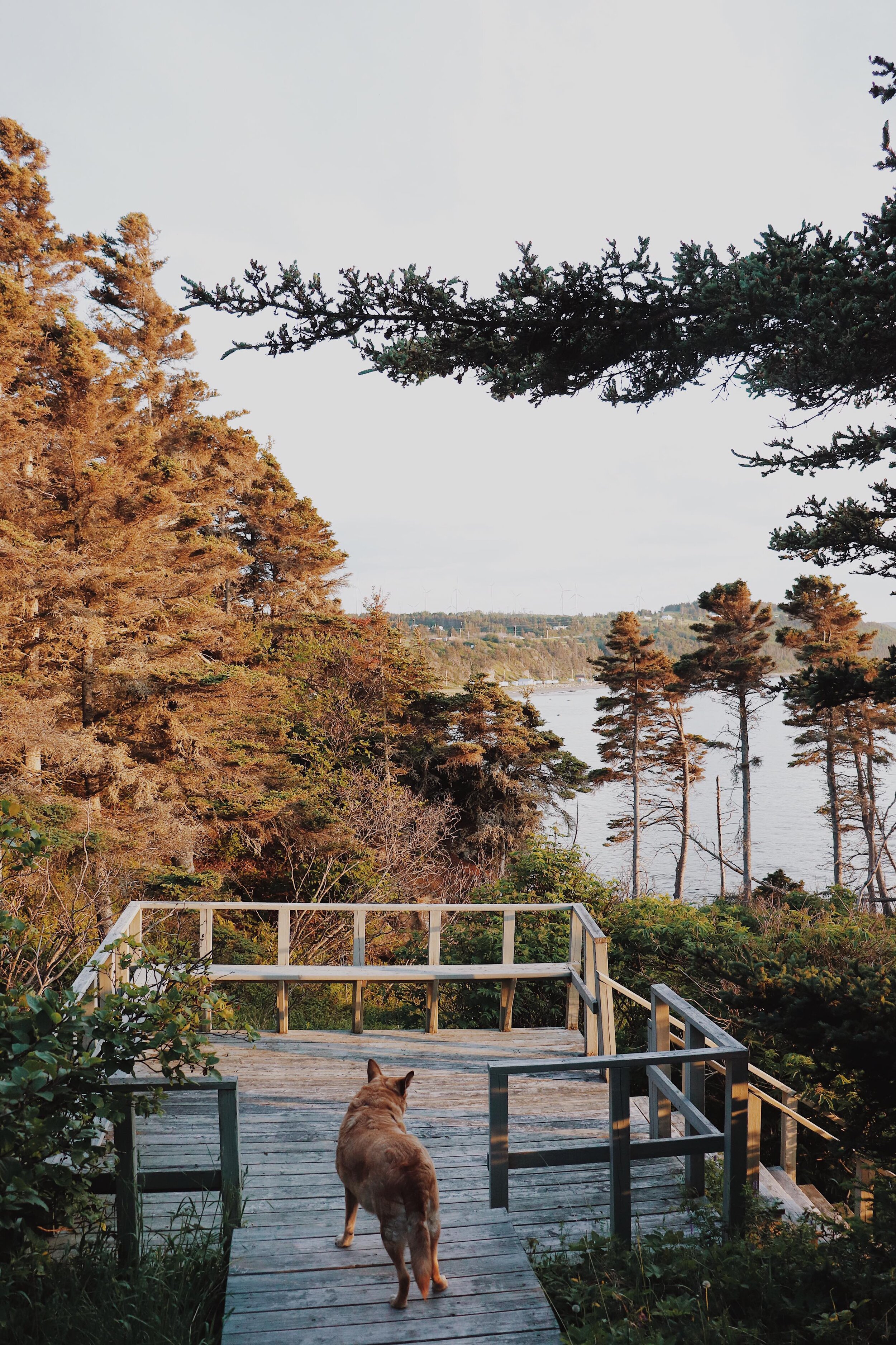 [Gaspésie-Îles-de-la-Madelaine, Cap-Chat] Yourte du Parc Phare Cap-Chat ...