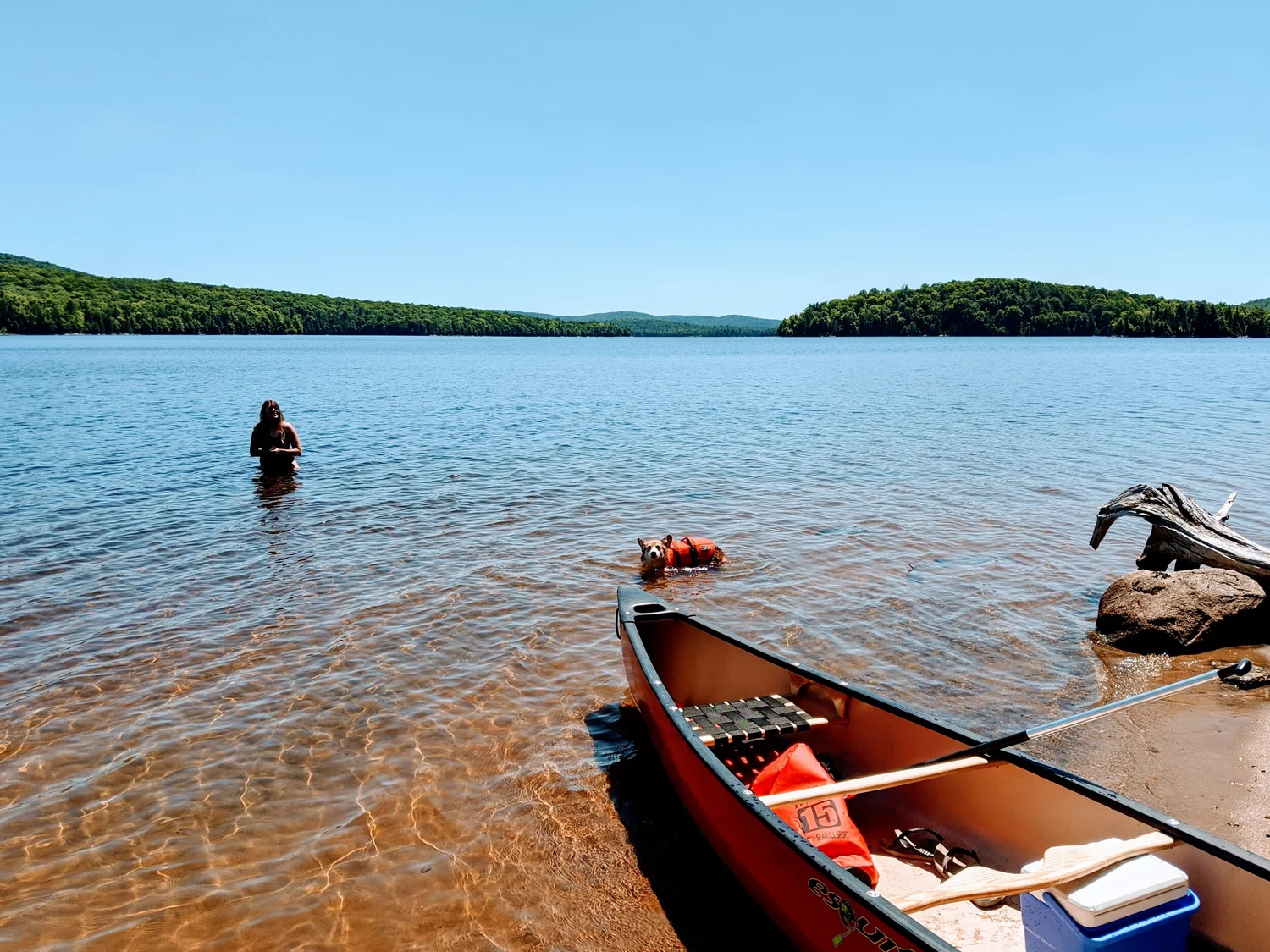 [Laurentides, Rivière-Rouge] Parc Régional de Kiamika — On va se promener