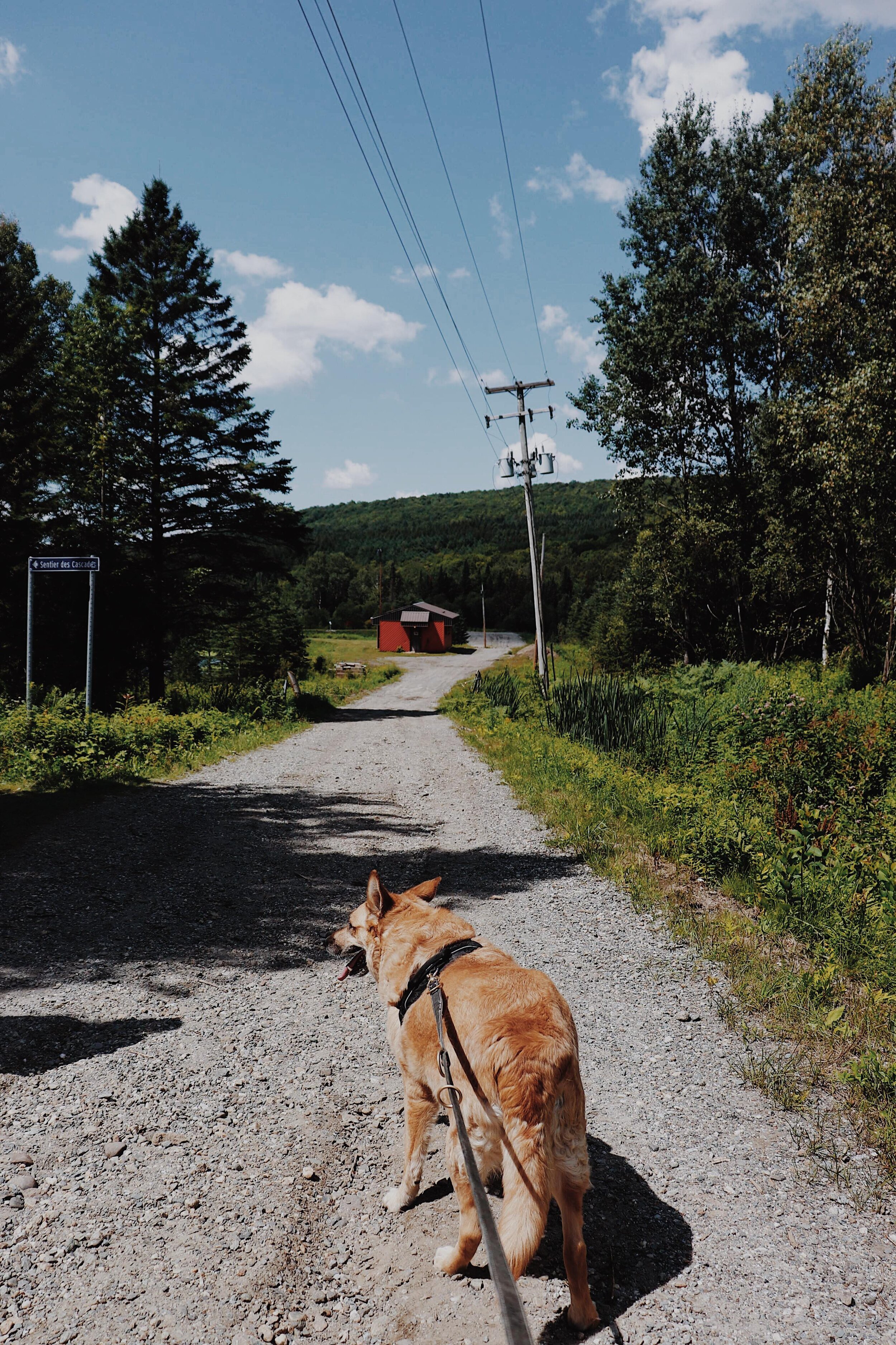 [Centre-du-Québec, Ham-Nord] Parc des cascades de Ham-Nord — On va se ...