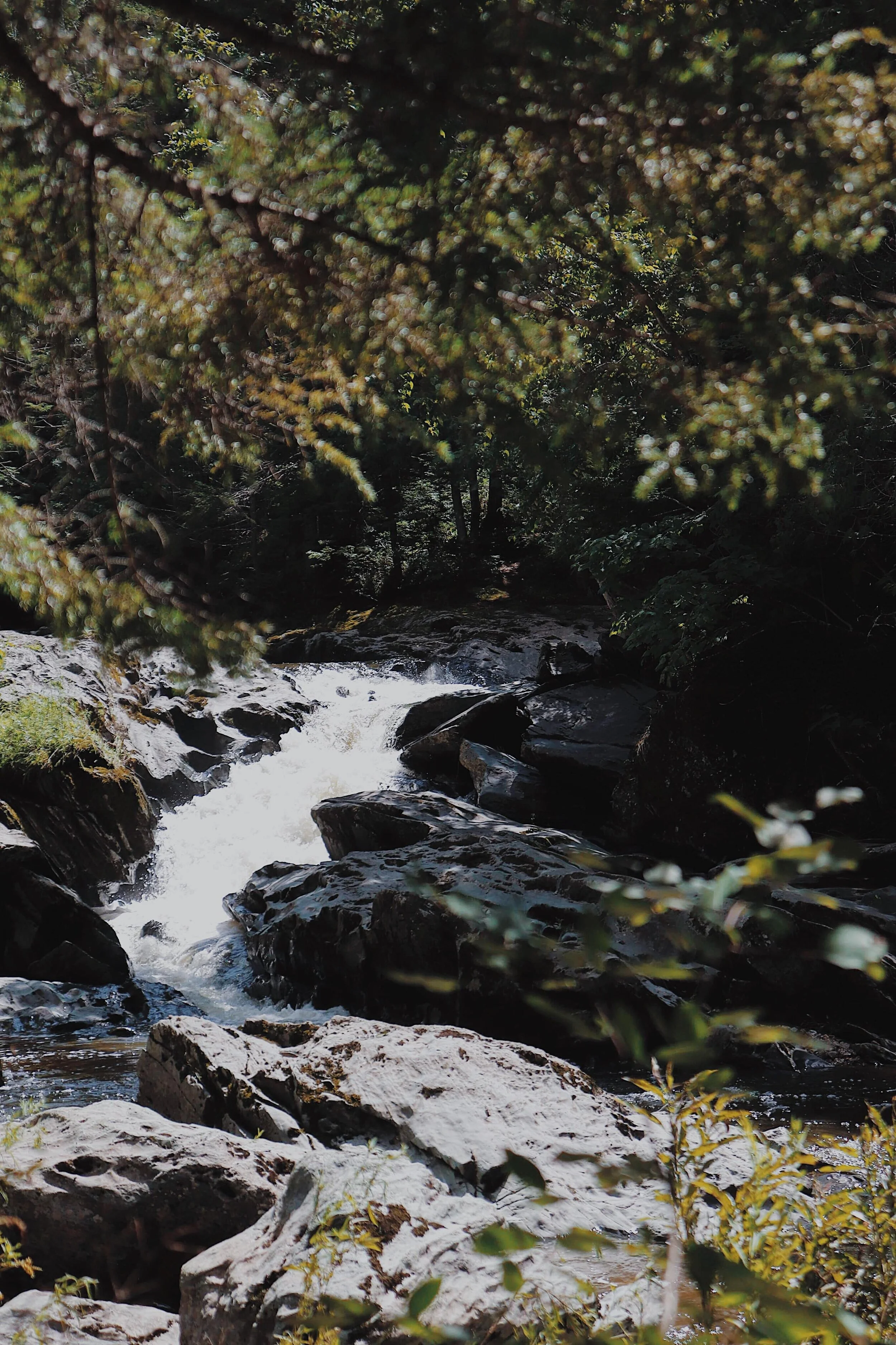 [Centre-du-Québec, Ham-Nord] Parc des cascades de Ham-Nord — On va se ...