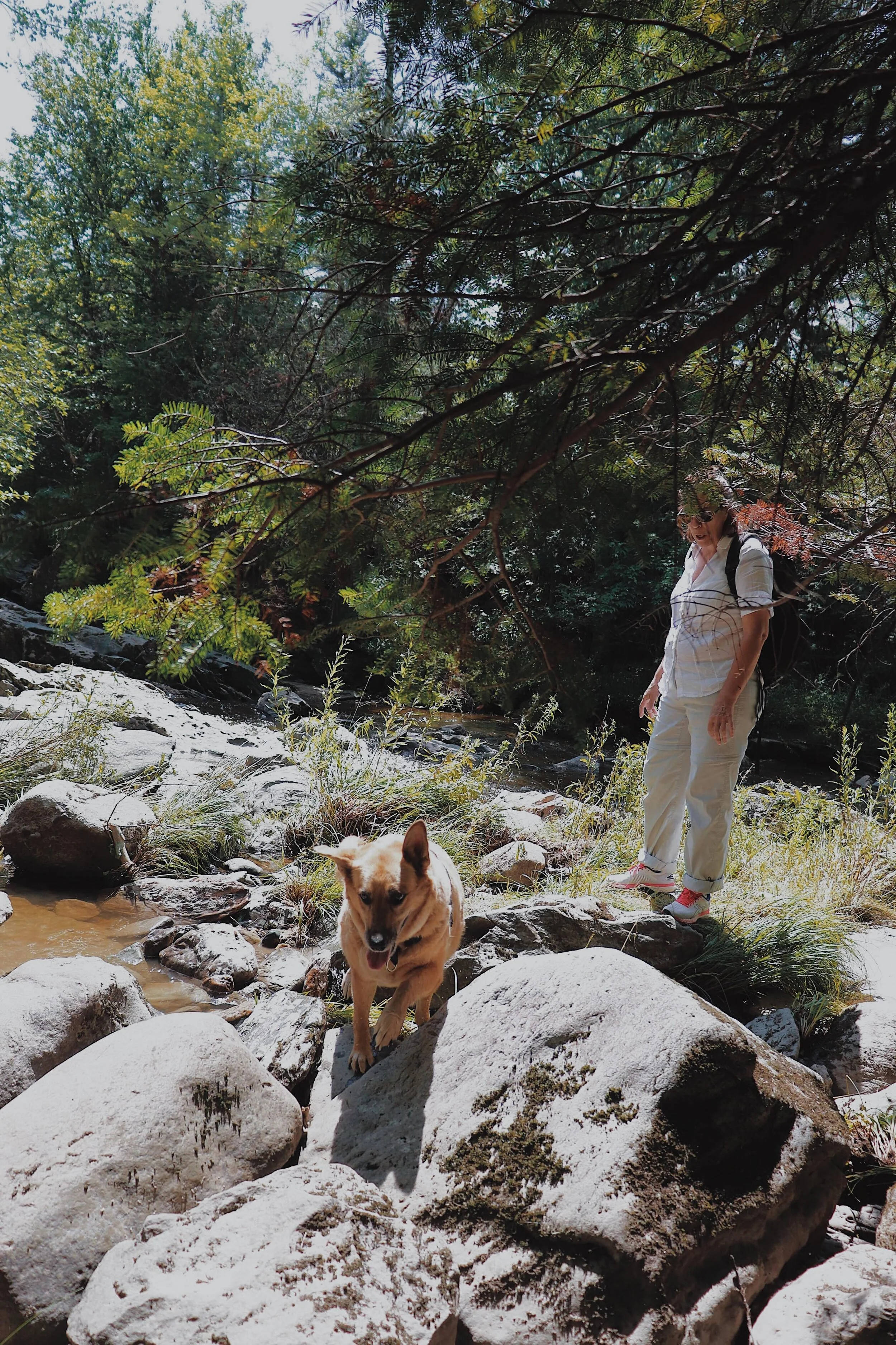 [Centre-du-Québec, Ham-Nord] Parc des cascades de Ham-Nord — On va se ...