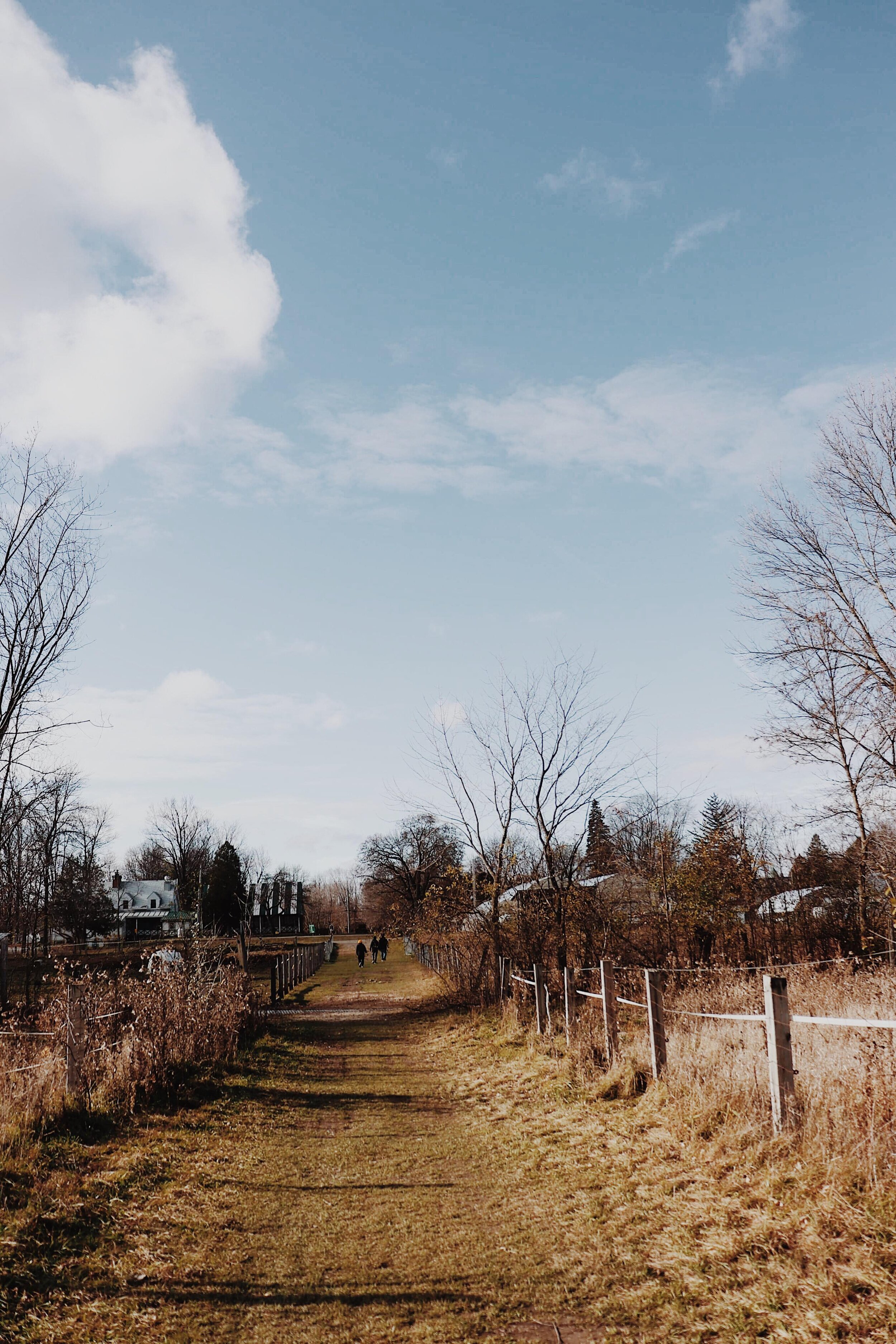 [Montréal, Rivière-des-prairies] Parc Nature du Cap St-Jacques — On va ...