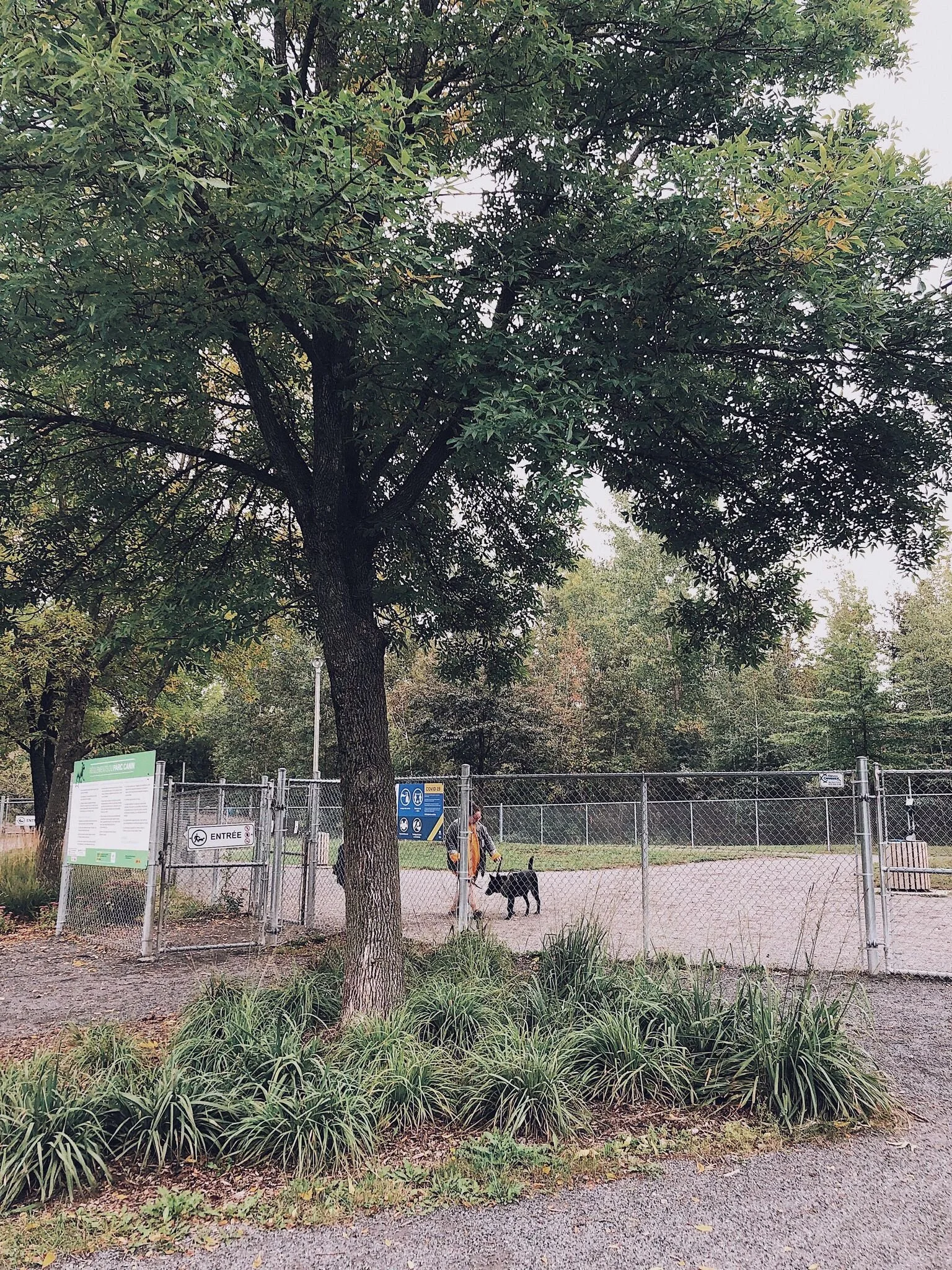 [Centre-du-Québec, Victoriaville] Parc canin Dave-Ross — On va se promener