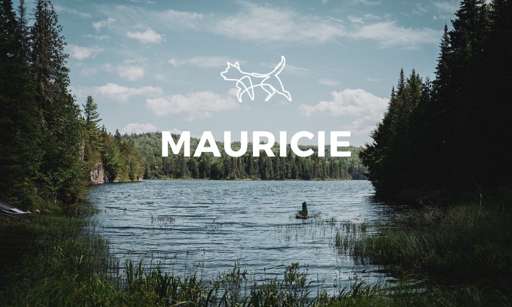 Découvrir — On va se promener