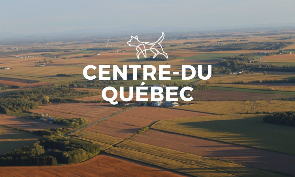 Découvrir — On va se promener