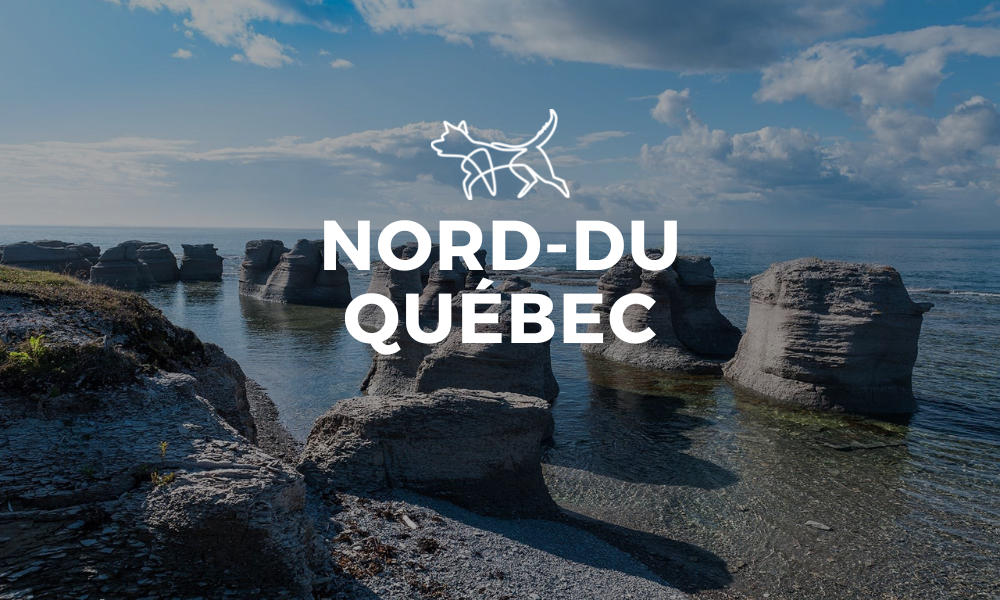 Découvrir — On va se promener