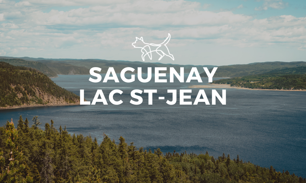 Découvrir — On va se promener