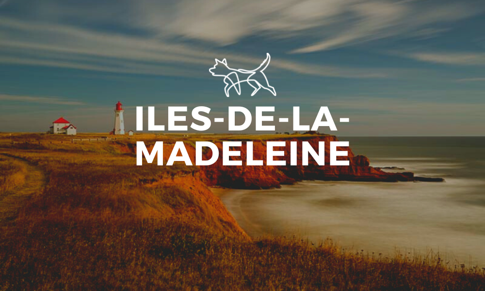 Découvrir — On va se promener