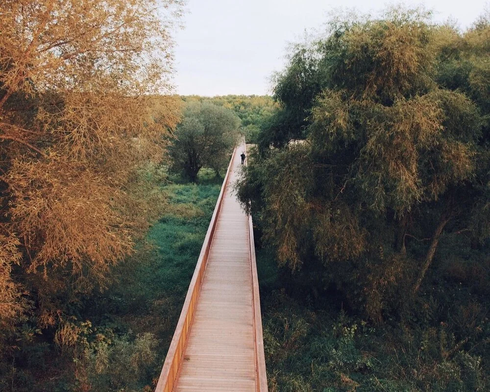 Randonnée avec chien Québec — On va se promener