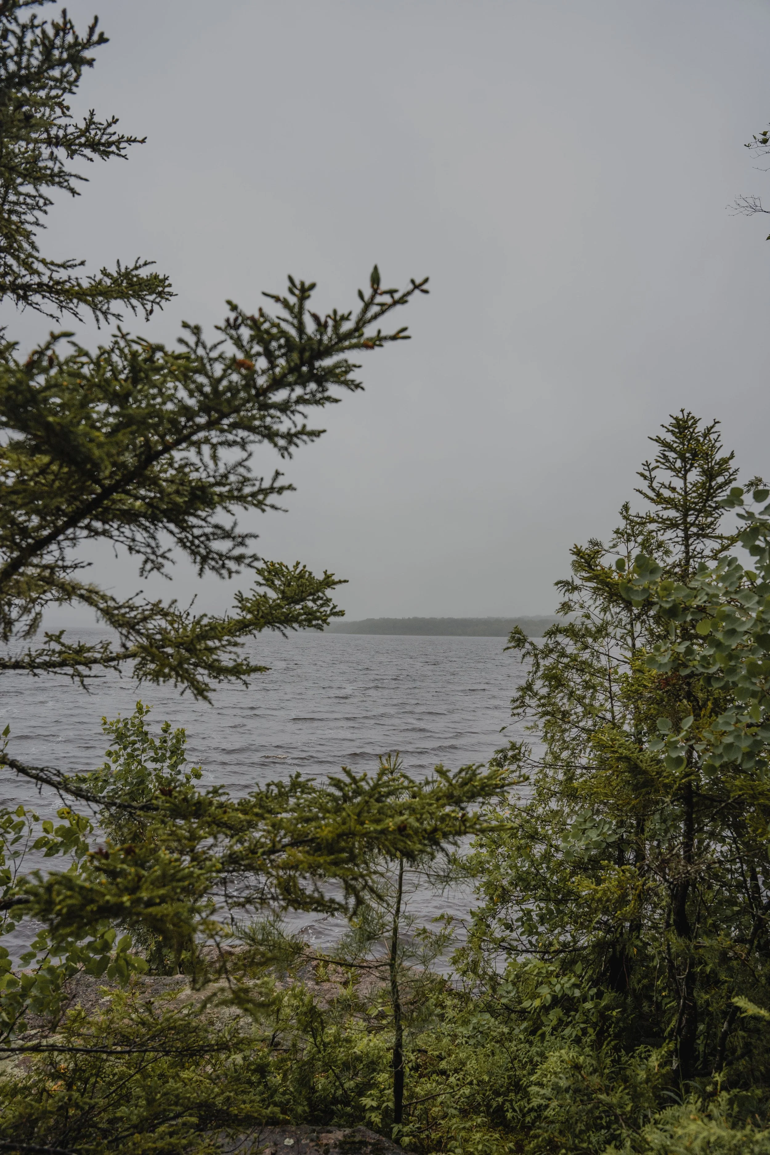 [NB, Cambridge-Narrows] Pines Conservation Park — On va se promener