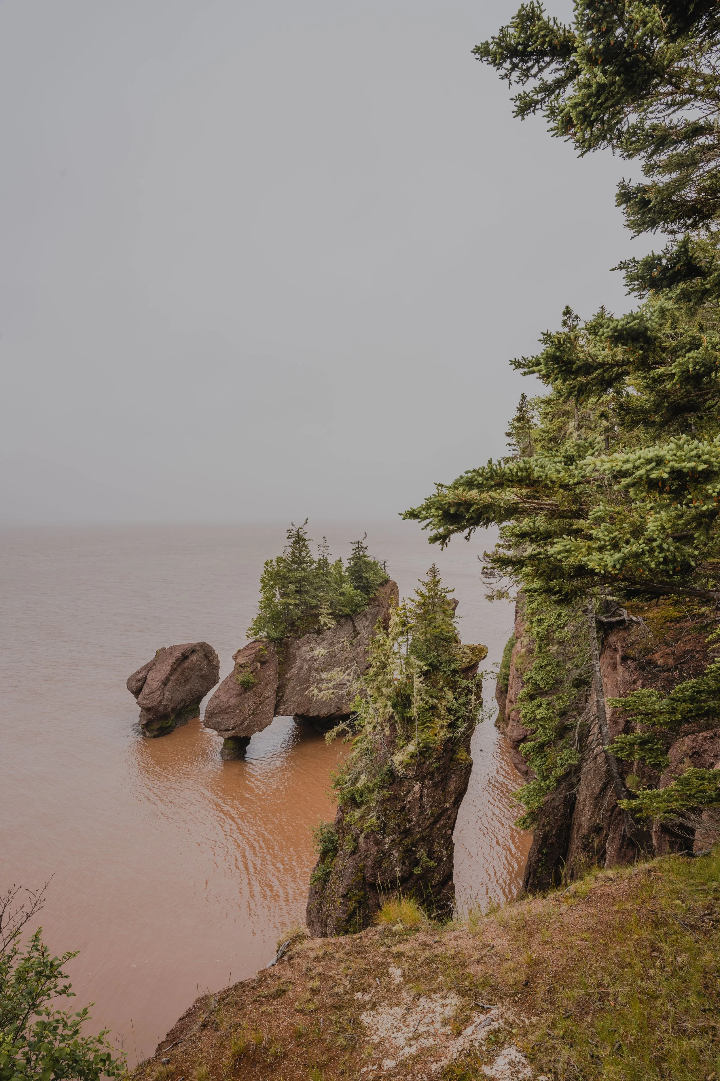 [NB, Hopewell Cape] Hopewell Rocks Provincial Park — On va se promener