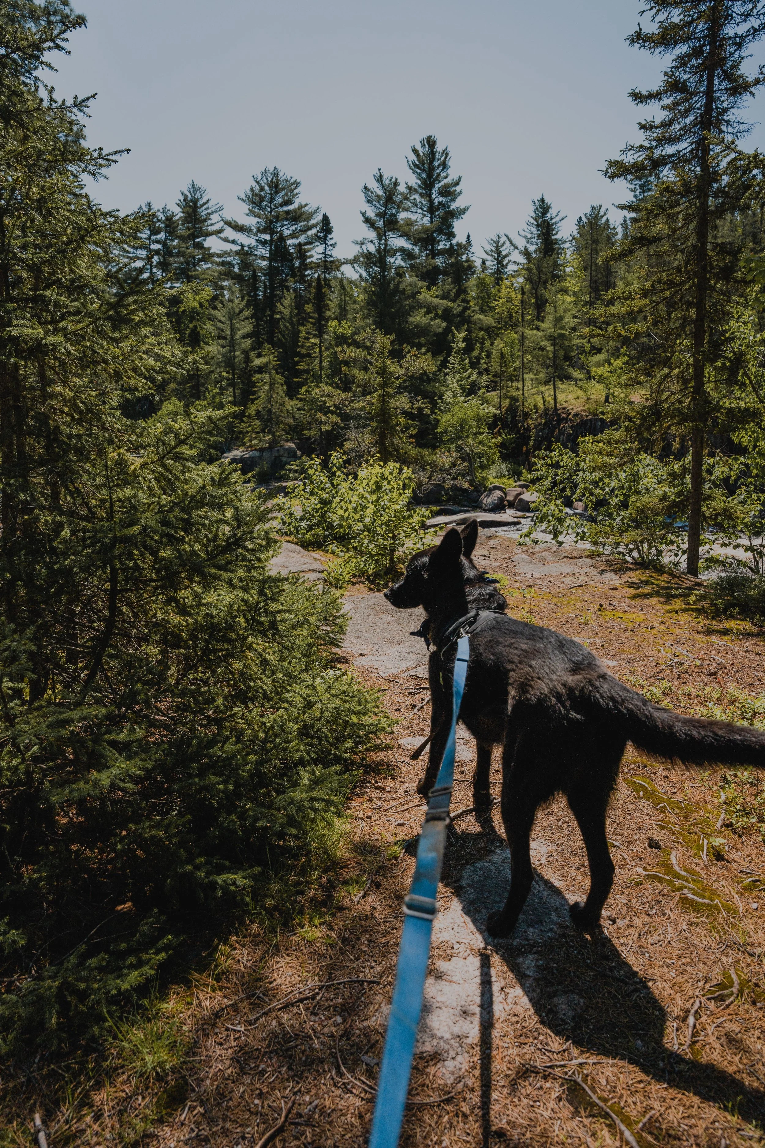 [NB, Bathurst] Papineau Falls — On va se promener