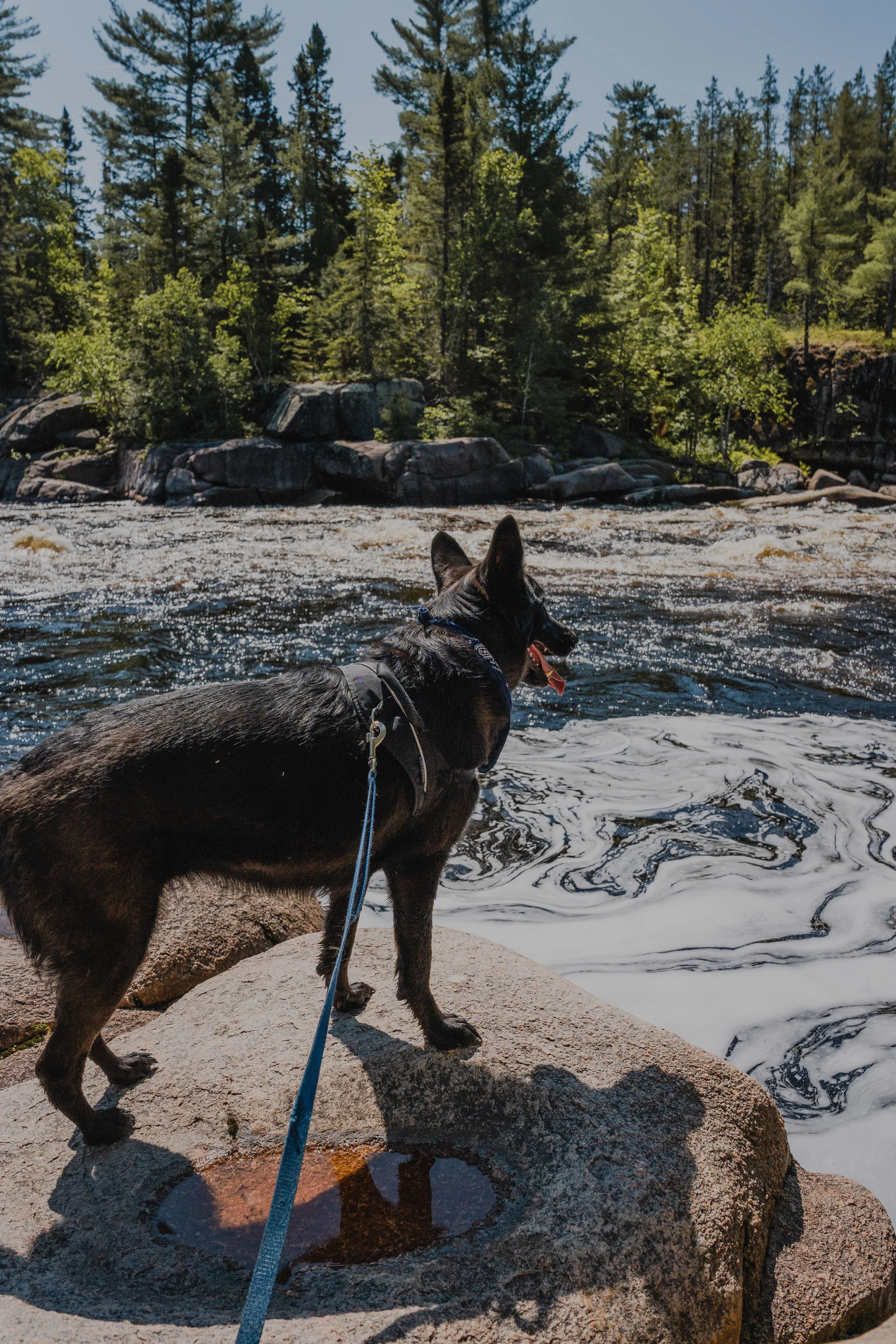 [NB, Bathurst] Papineau Falls — On va se promener