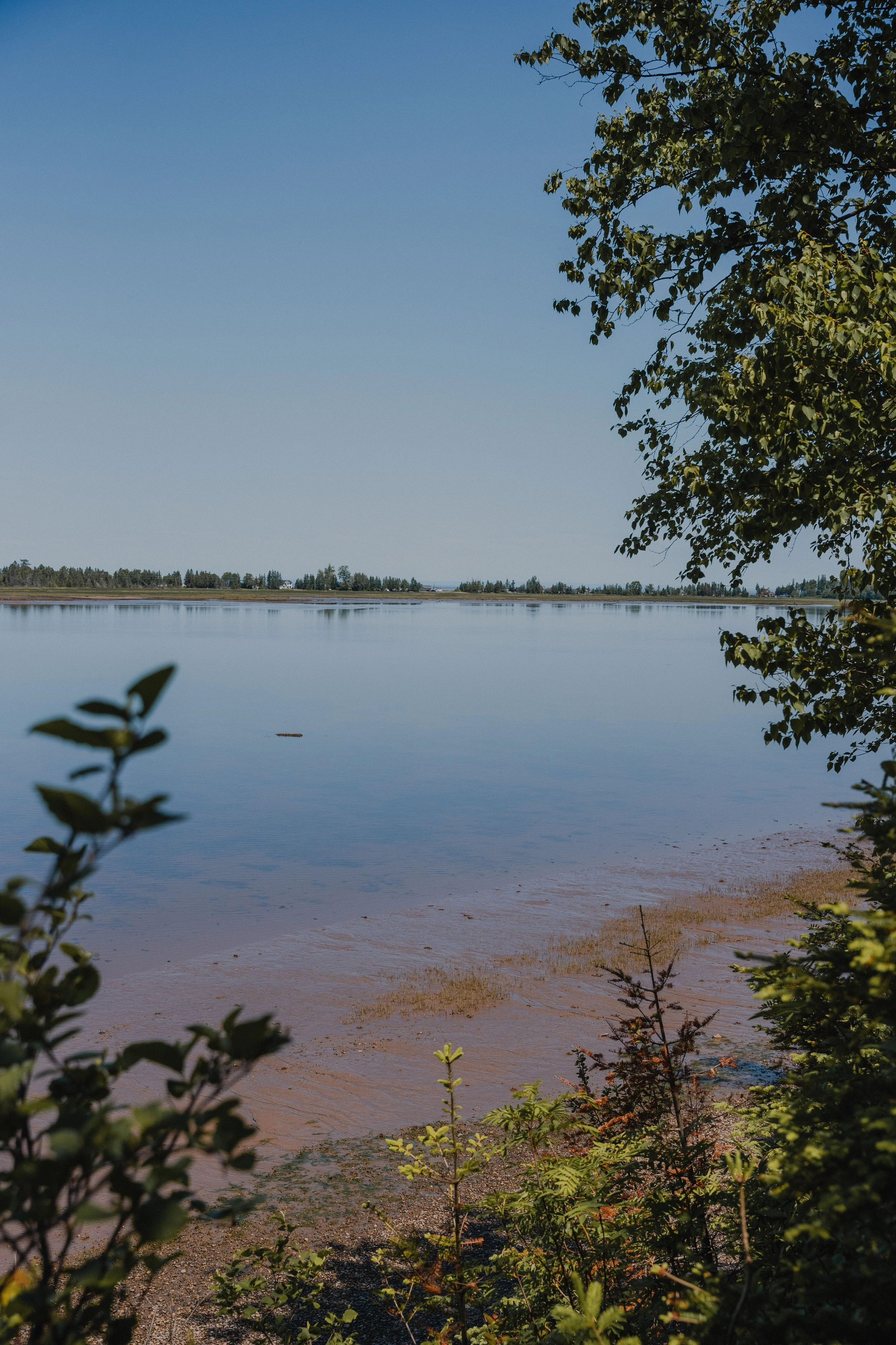 [NB, Bathurst] Daly Point Nature Reserve — On va se promener