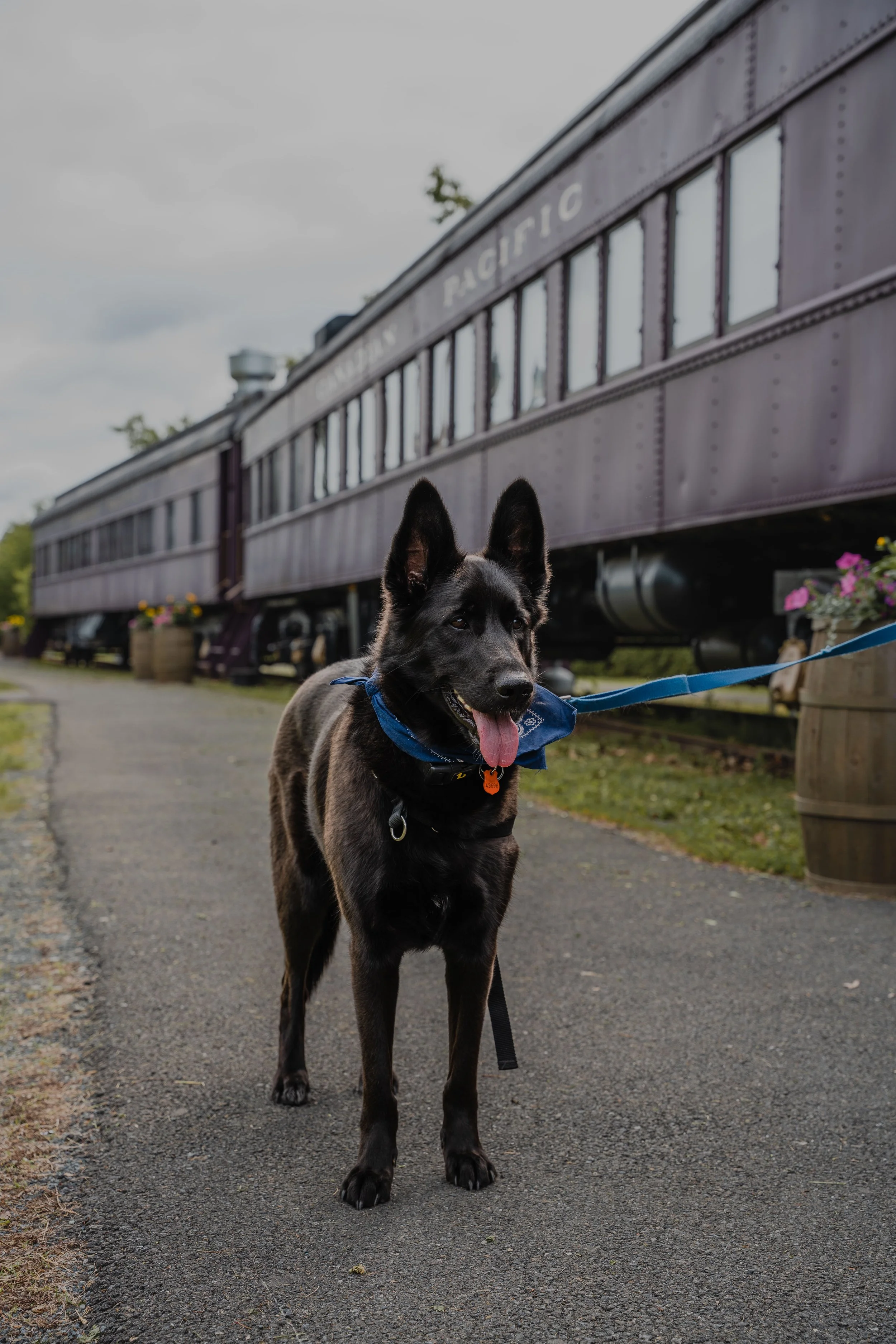 [NB,Florenceville-Bristol] Shogomoc Train Station — On va se promener