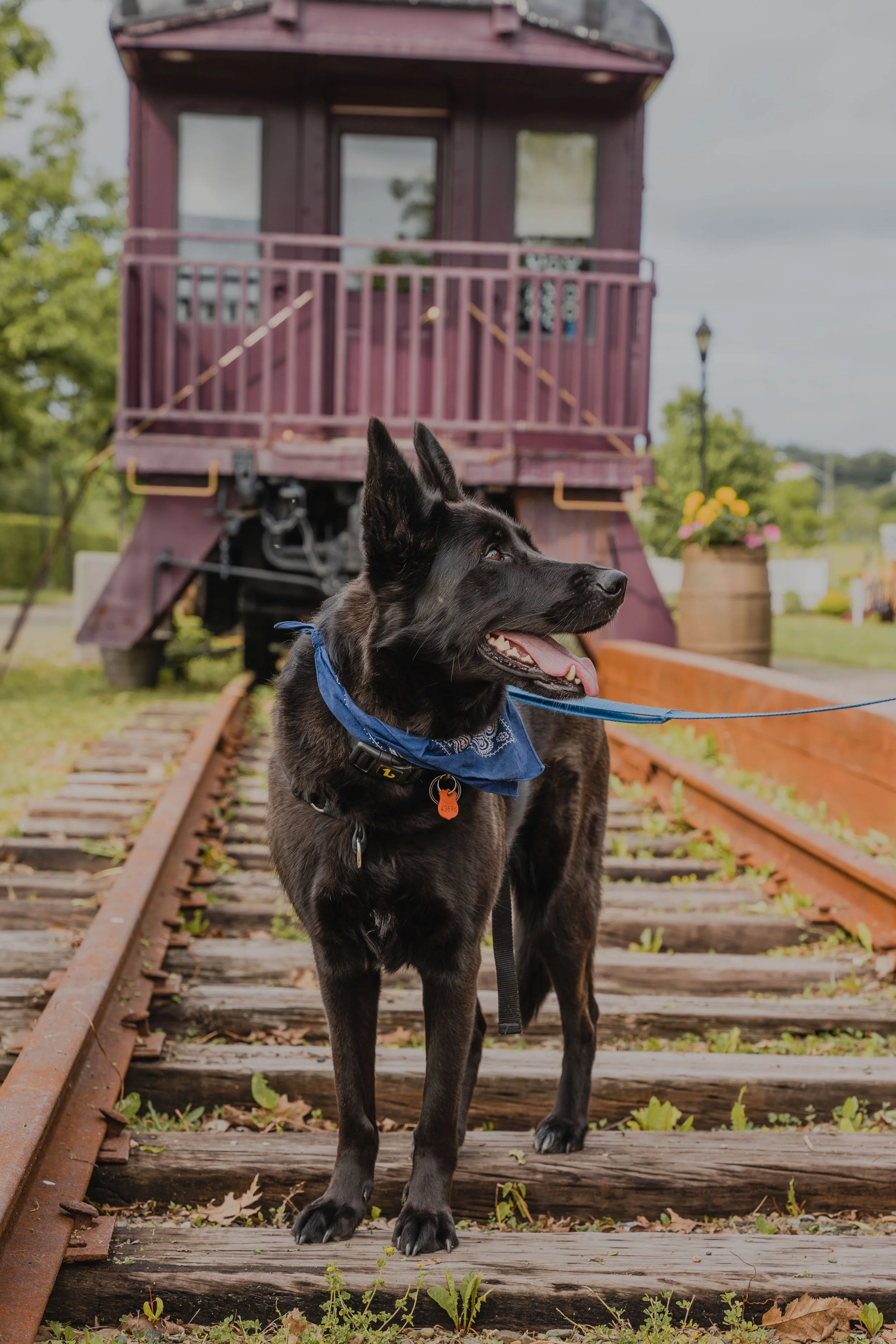 [NB,Florenceville-Bristol] Shogomoc Train Station — On va se promener