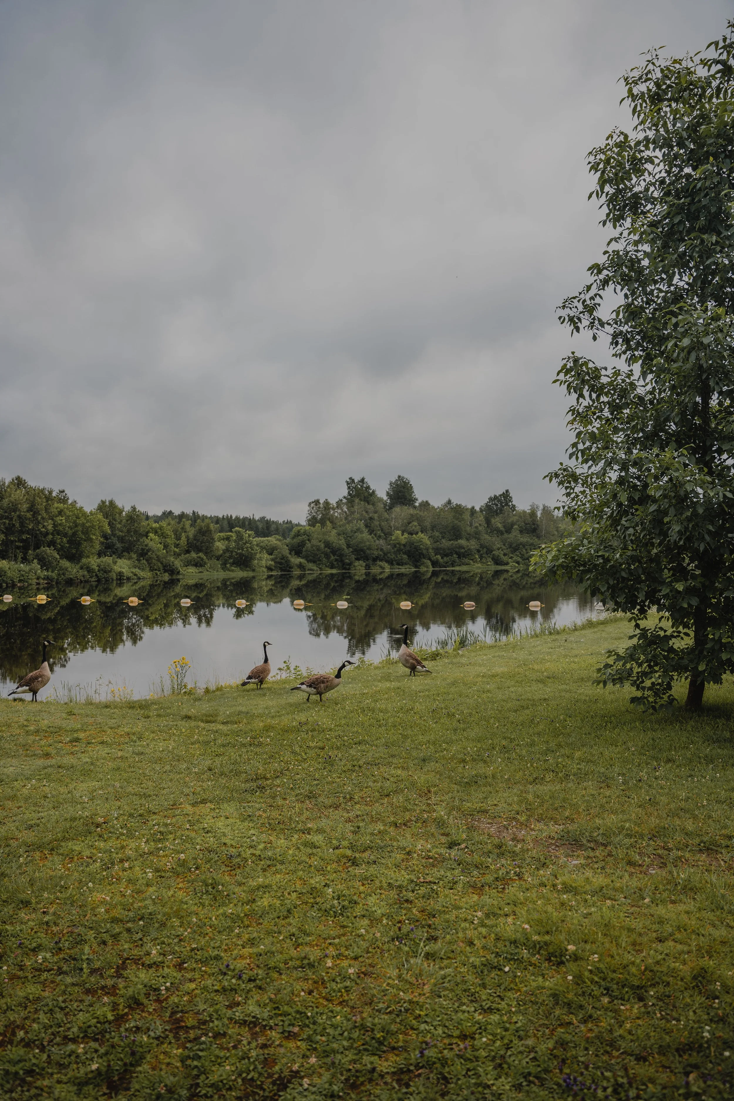 [Estrie, Scotstown] Parc Walter-Mackenzie — On va se promener