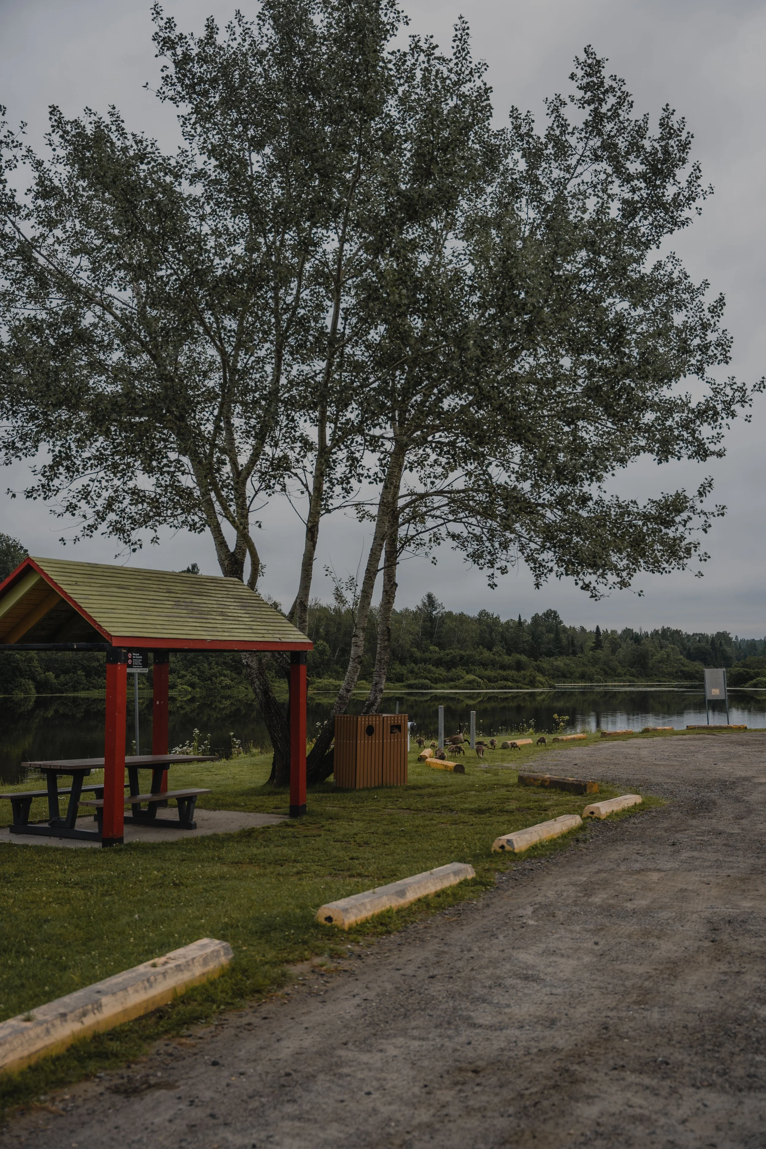 [Estrie, Scotstown] Parc Walter-Mackenzie — On va se promener