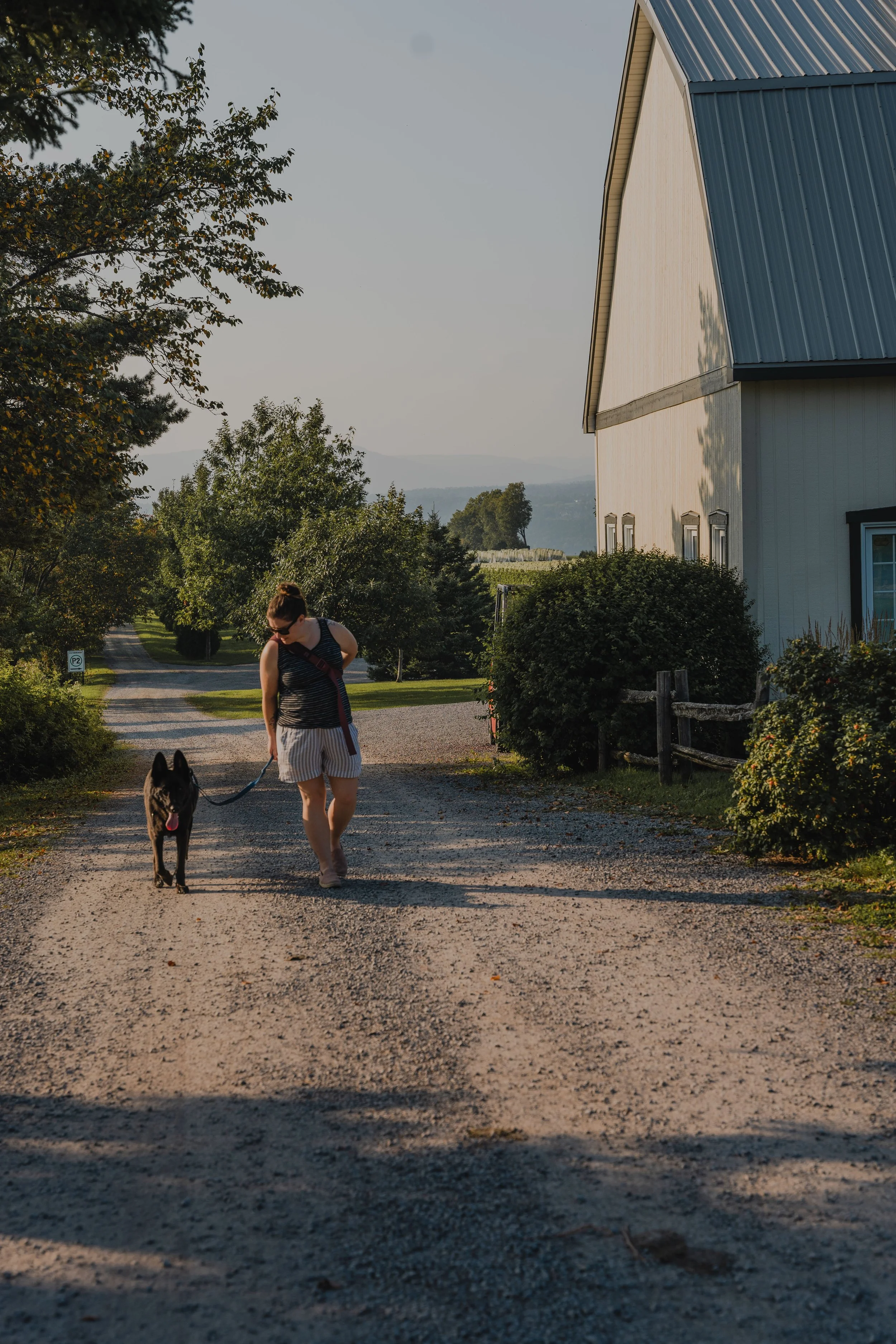 [Qc, Ile d'Orléans] Saint Pierre Le Vignoble — On va se promener