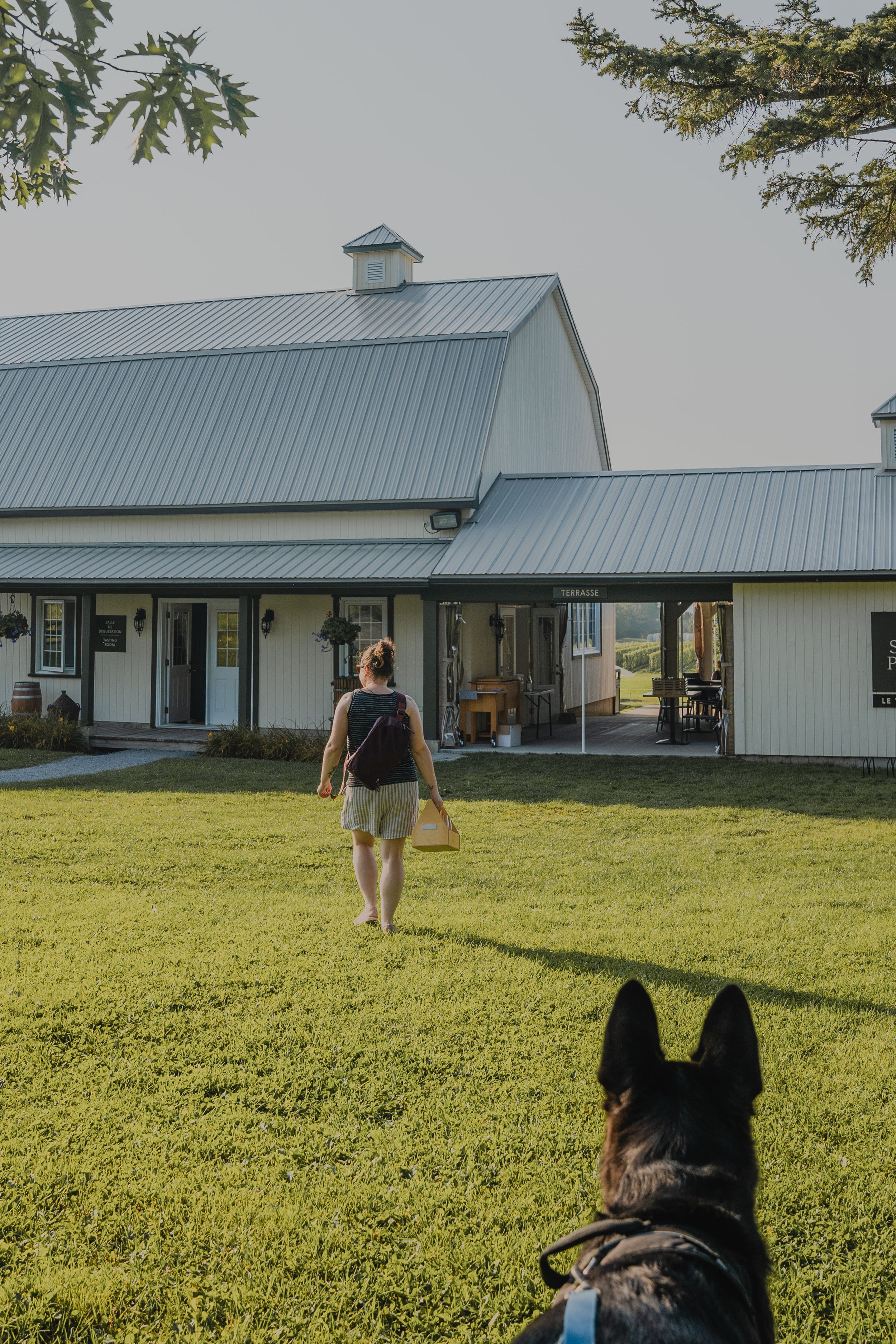 [Qc, Ile d'Orléans] Saint Pierre Le Vignoble — On va se promener