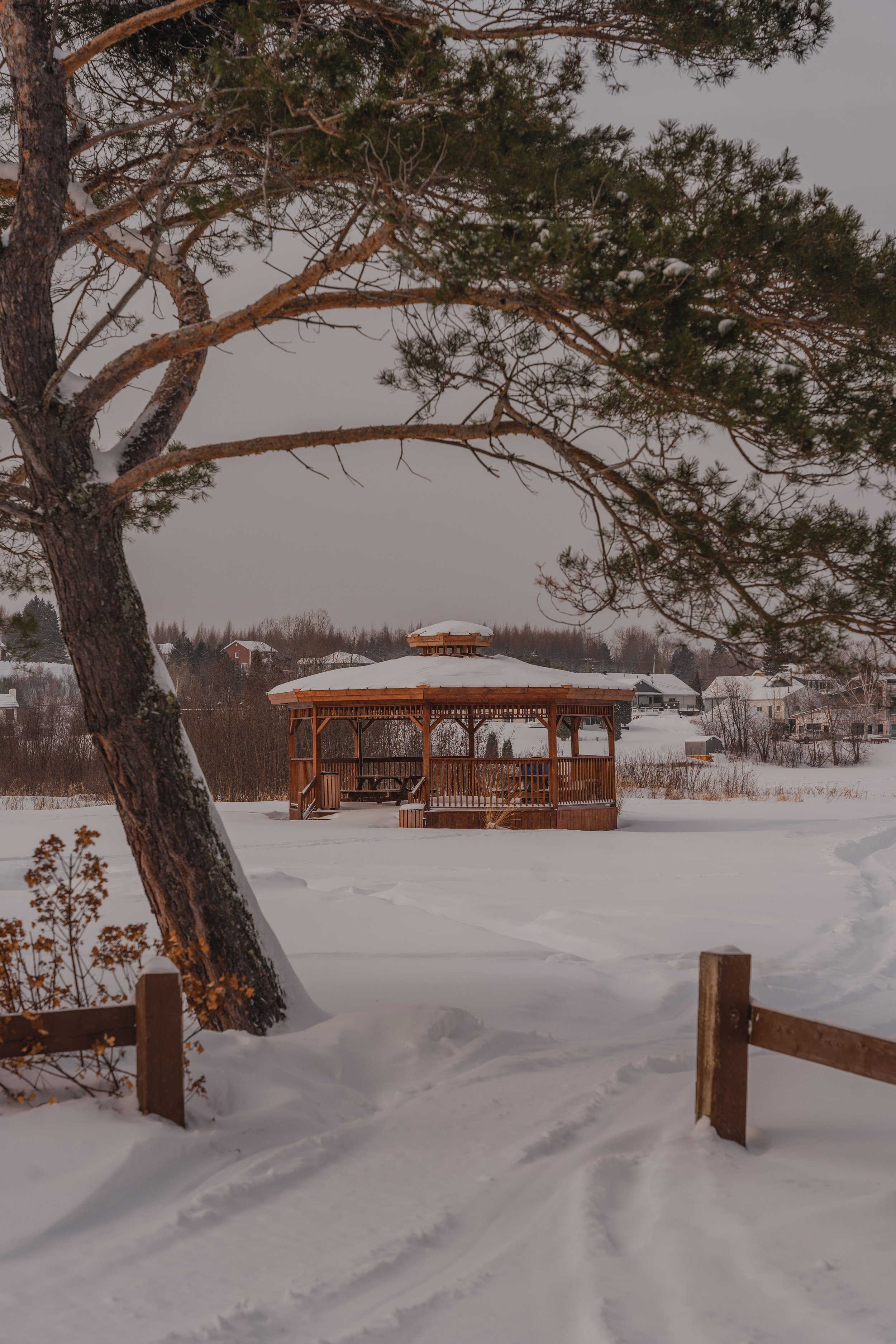 [Sag-Lac, Saint-Félix-d'Otis] Halte Municipale — On va se promener