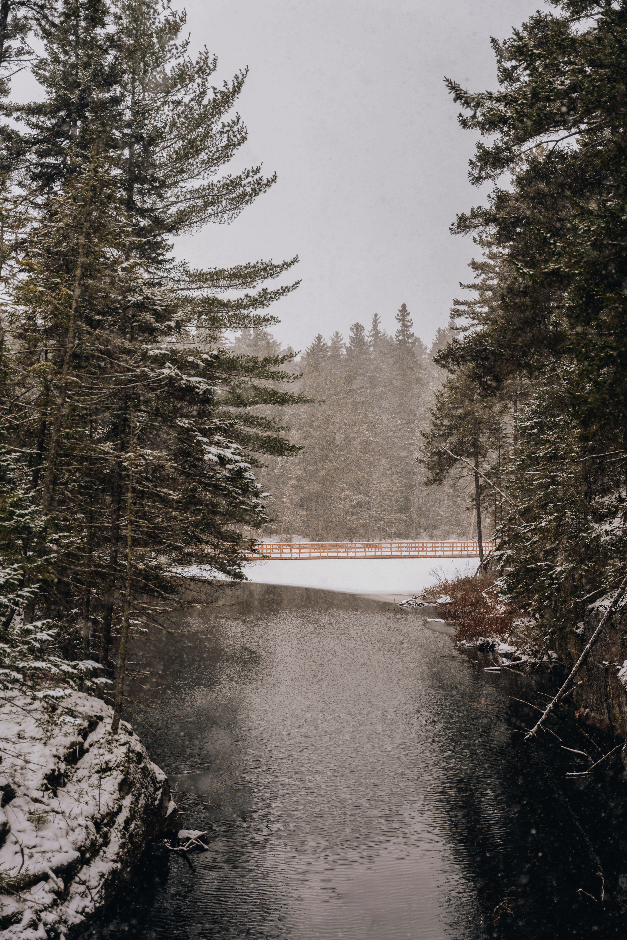 [Laurentides, Saint-Faustin-Lac-Carré] Parc Éco-Laurentides — On va se ...