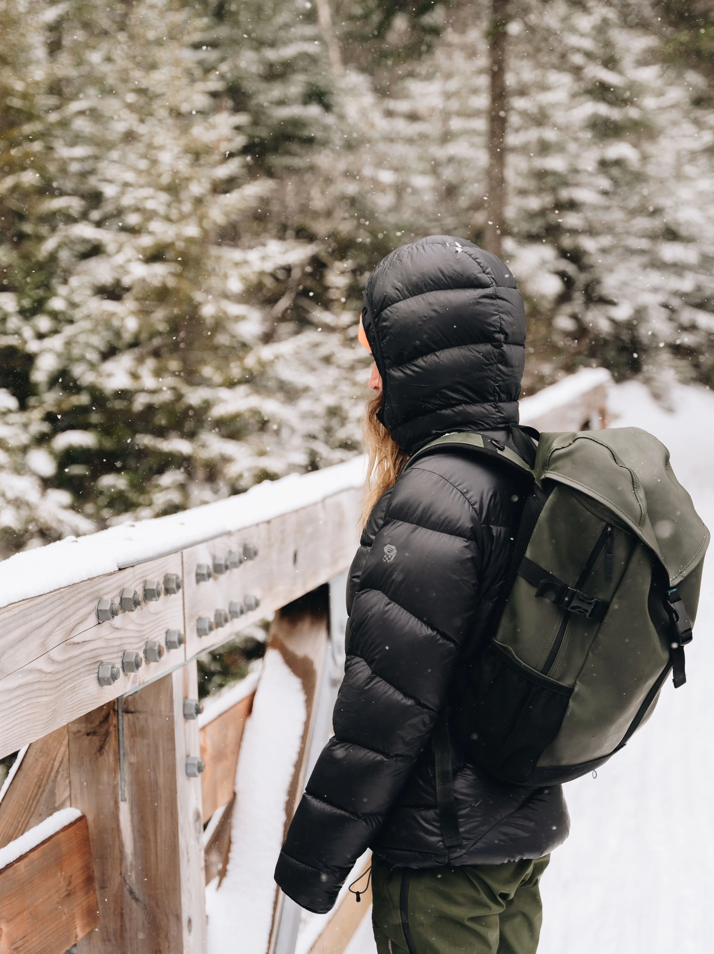 [Laurentides, Saint-Faustin-Lac-Carré] Parc Éco-Laurentides — On va se ...