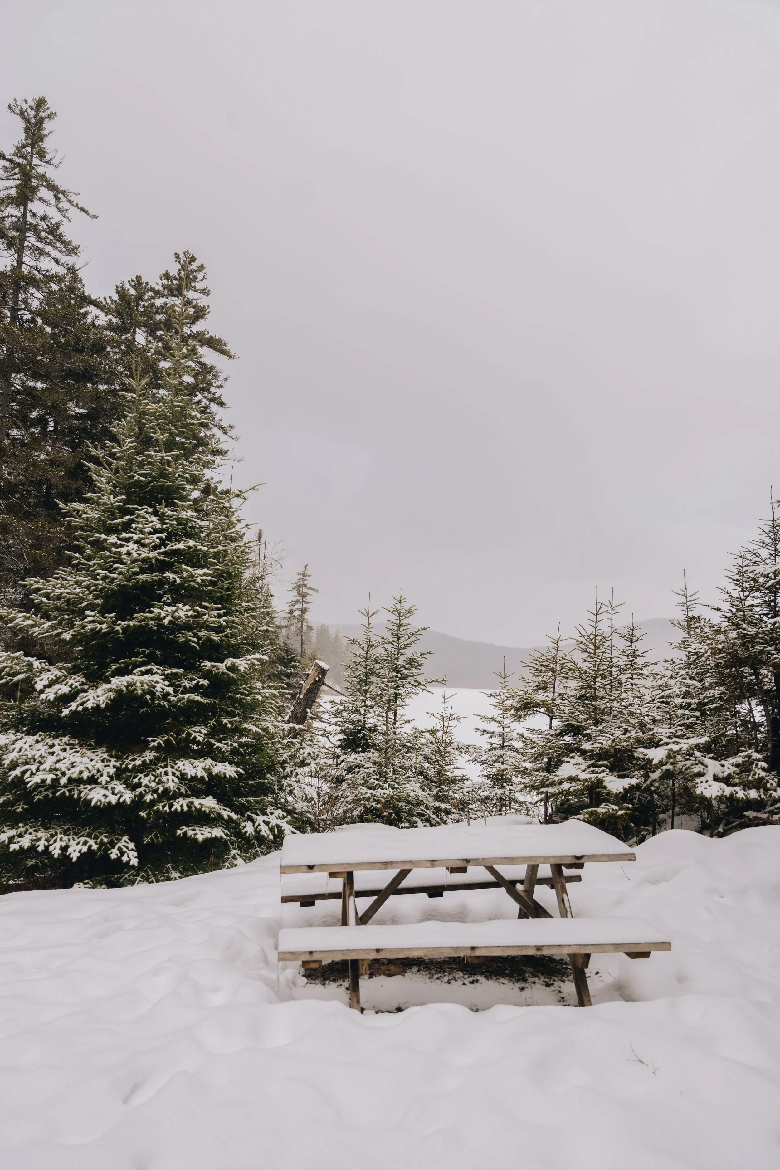 [Laurentides, Saint-Faustin-Lac-Carré] Parc Éco-Laurentides — On va se ...