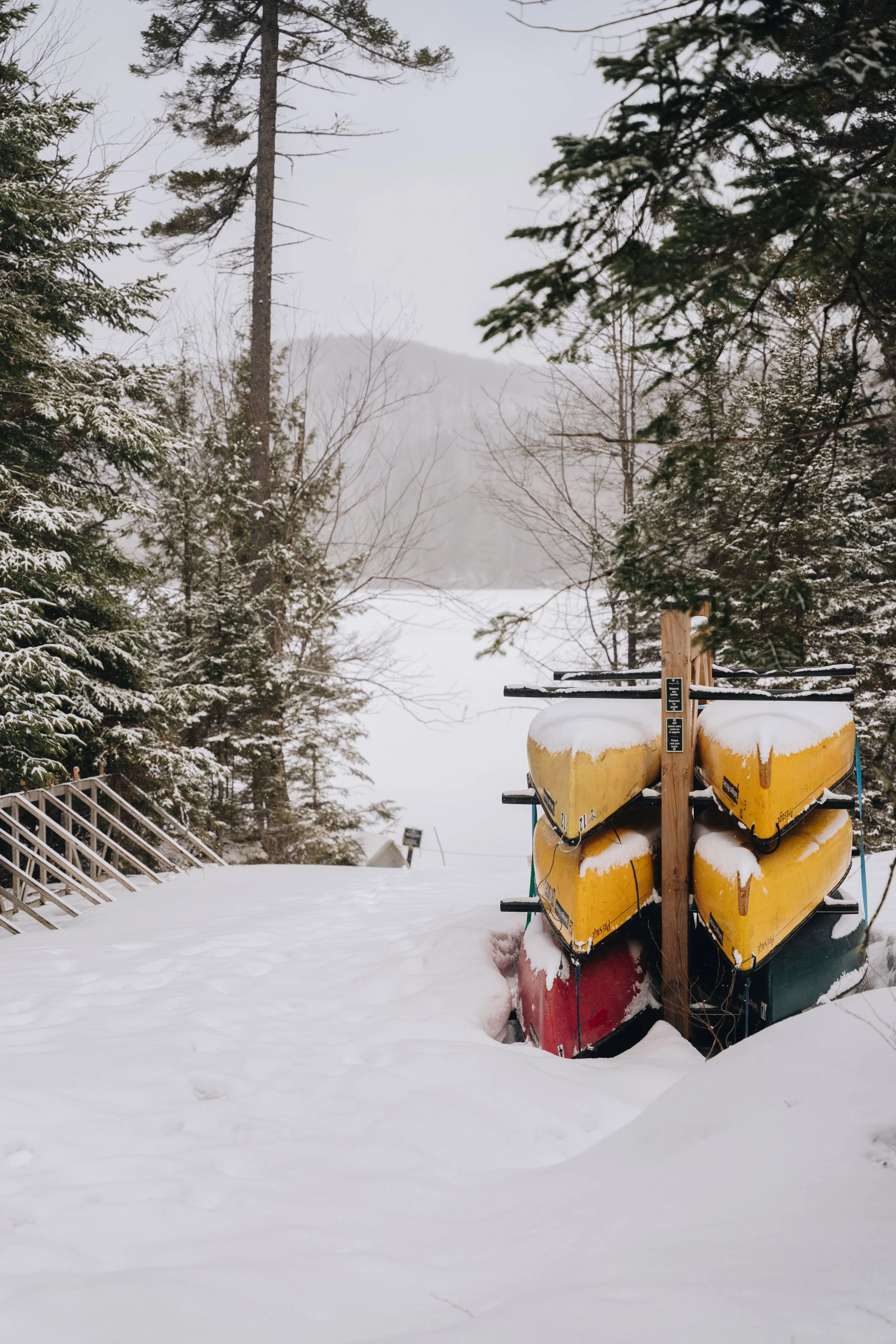 [Laurentides, Saint-Faustin-Lac-Carré] Parc Éco-Laurentides — On va se ...