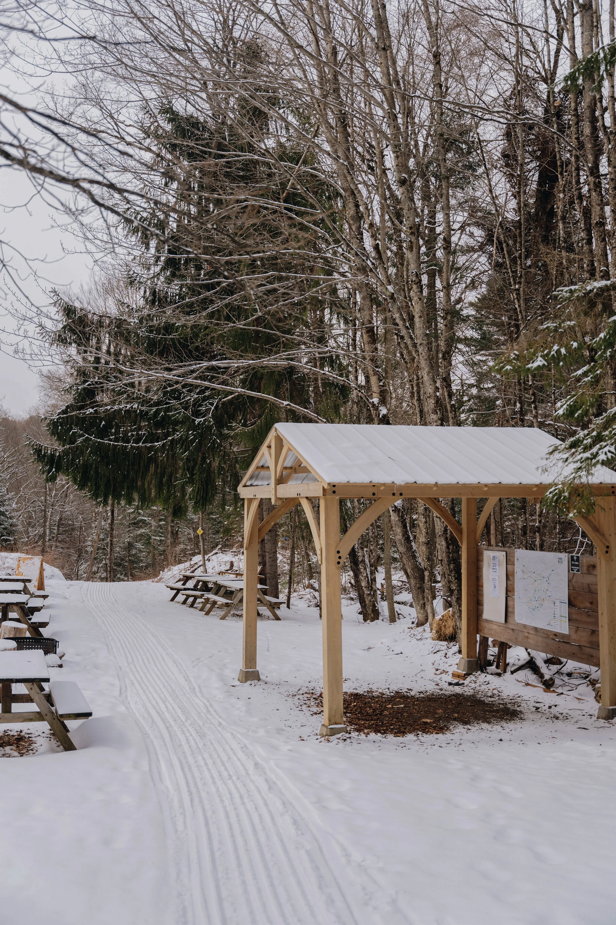 [Laurentides, Saint-Faustin-Lac-Carré] Parc Éco-Laurentides — On va se ...