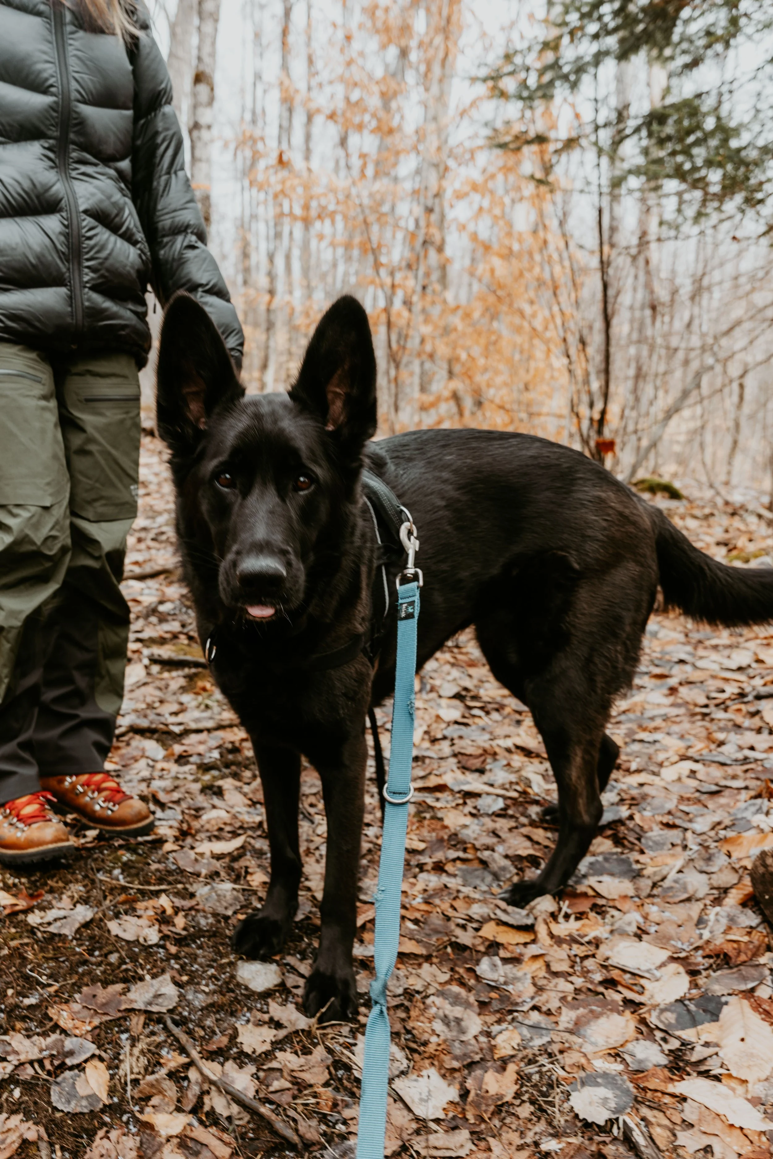 [Laurentides, La Minerve] Sentiers Poupart et des Sucres — On va se ...