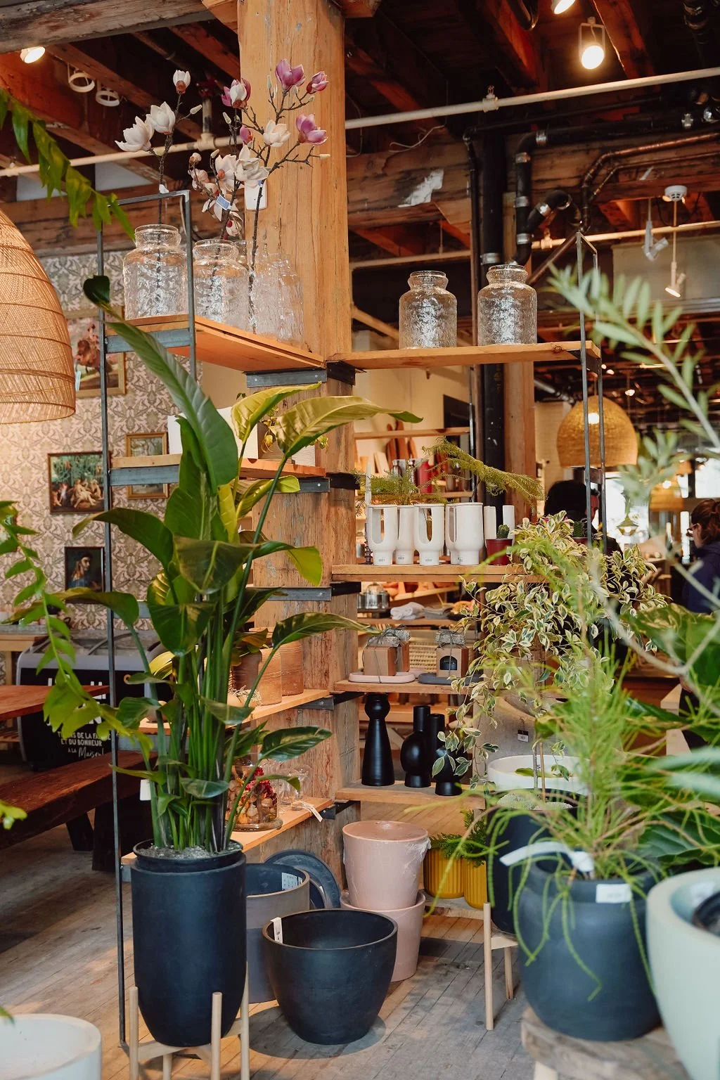 [MTL, Vieux-Montréal] Maison Pépin — On va se promener