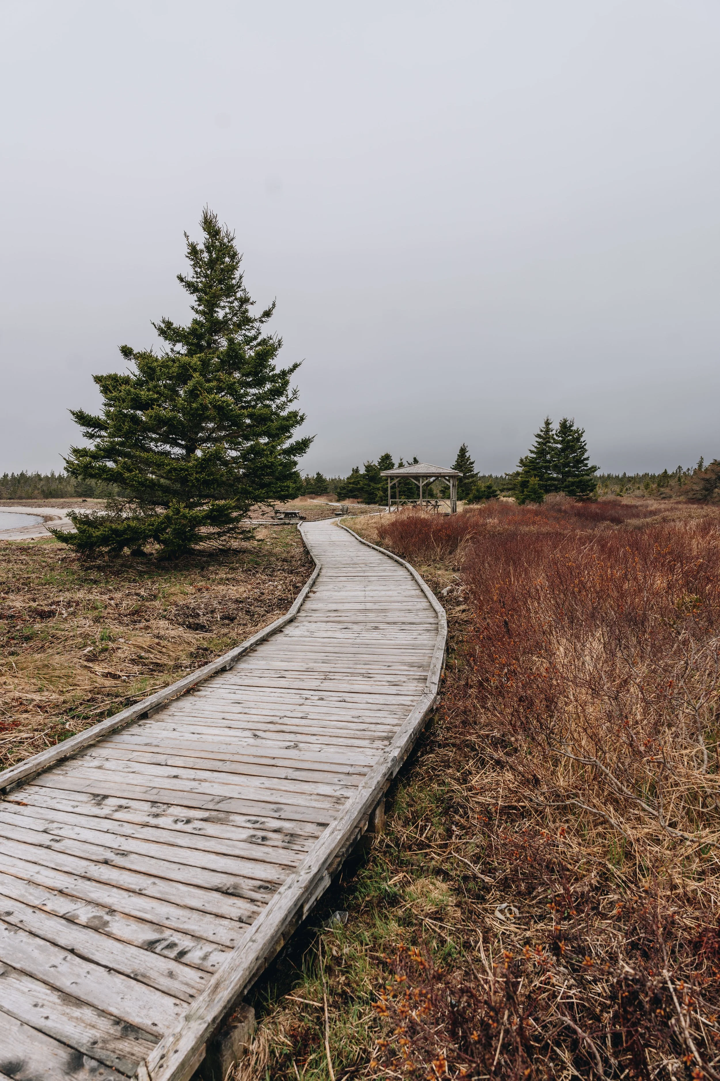 [N-É, Little Dover] Black Duck Cove Provincial Park — On va se promener