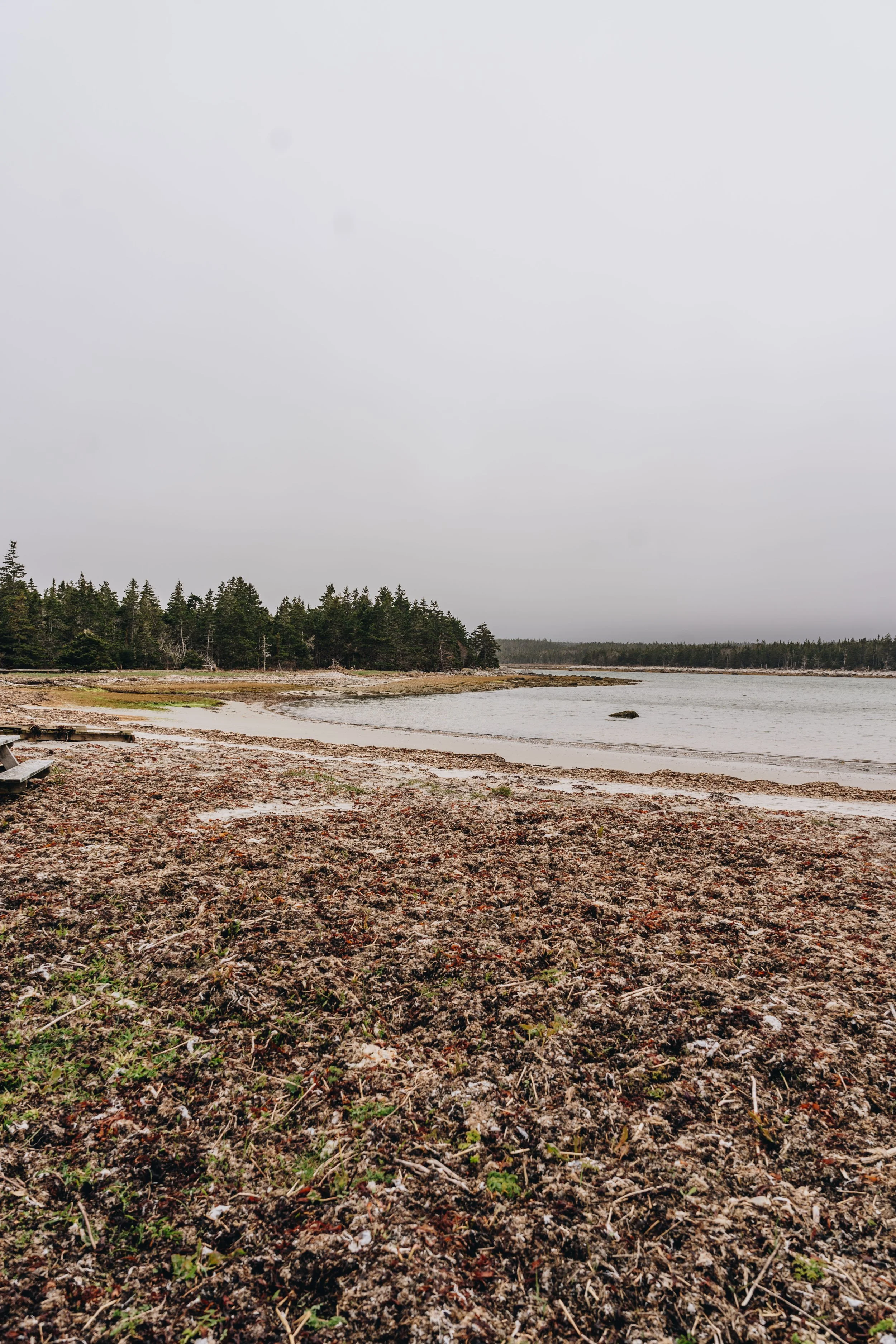 [N-É, Little Dover] Black Duck Cove Provincial Park — On va se promener