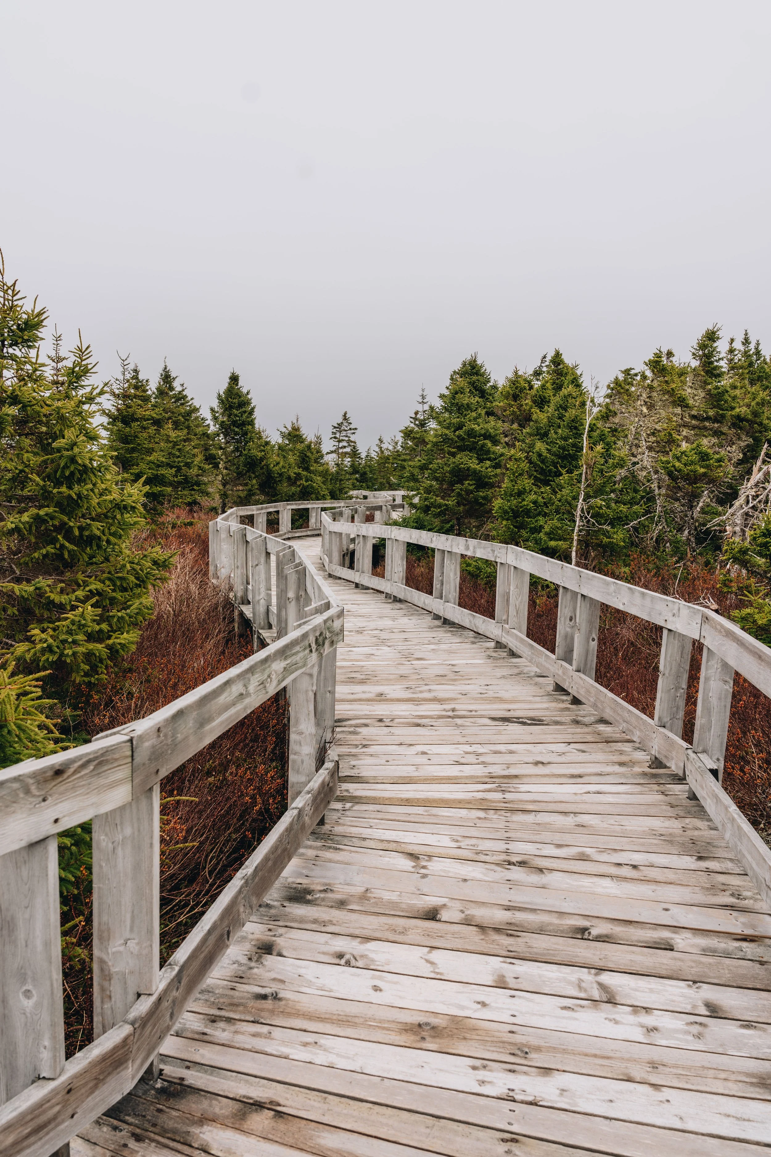 [N-É, Little Dover] Black Duck Cove Provincial Park — On va se promener