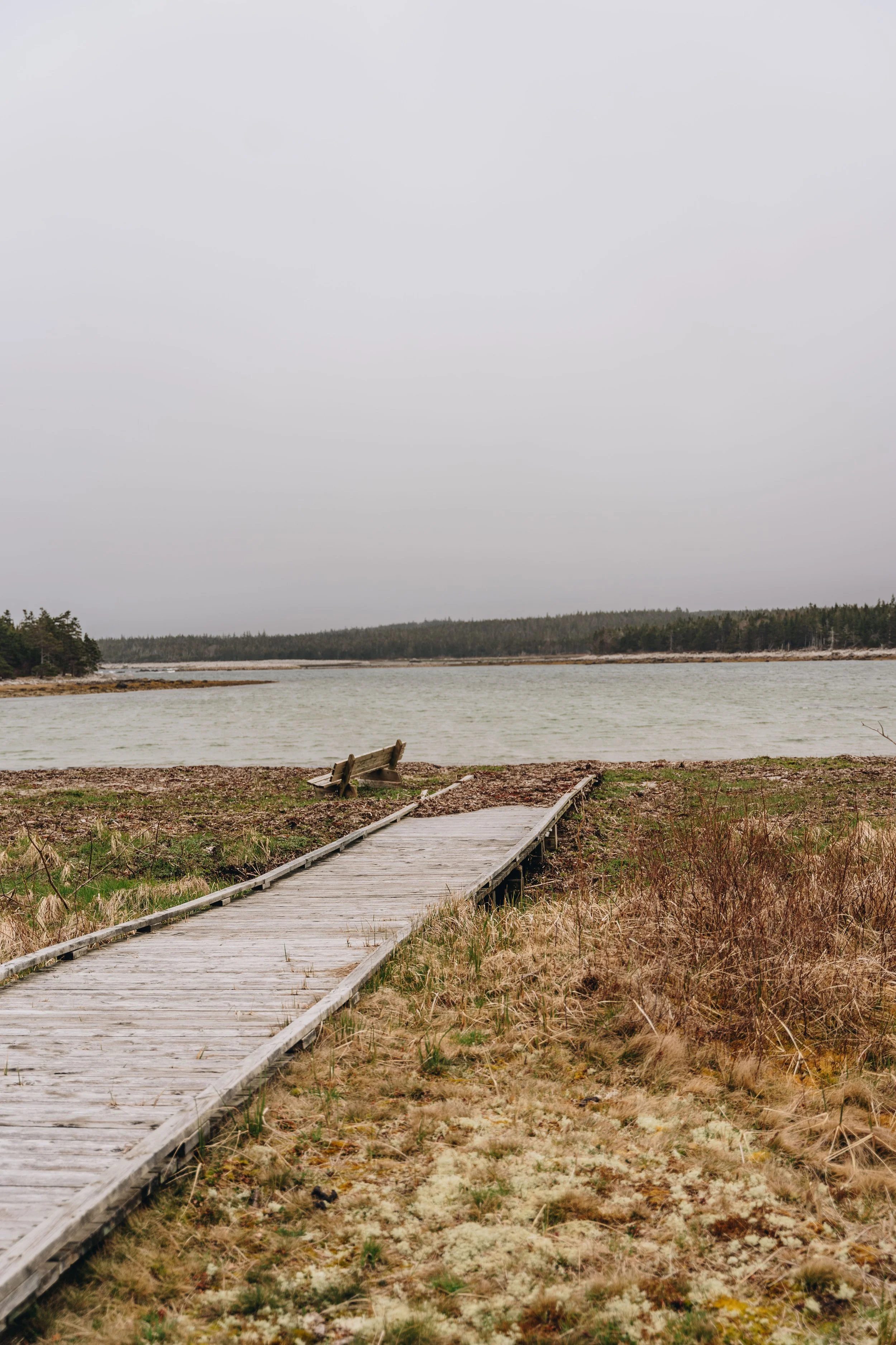 [N-É, Little Dover] Black Duck Cove Provincial Park — On va se promener