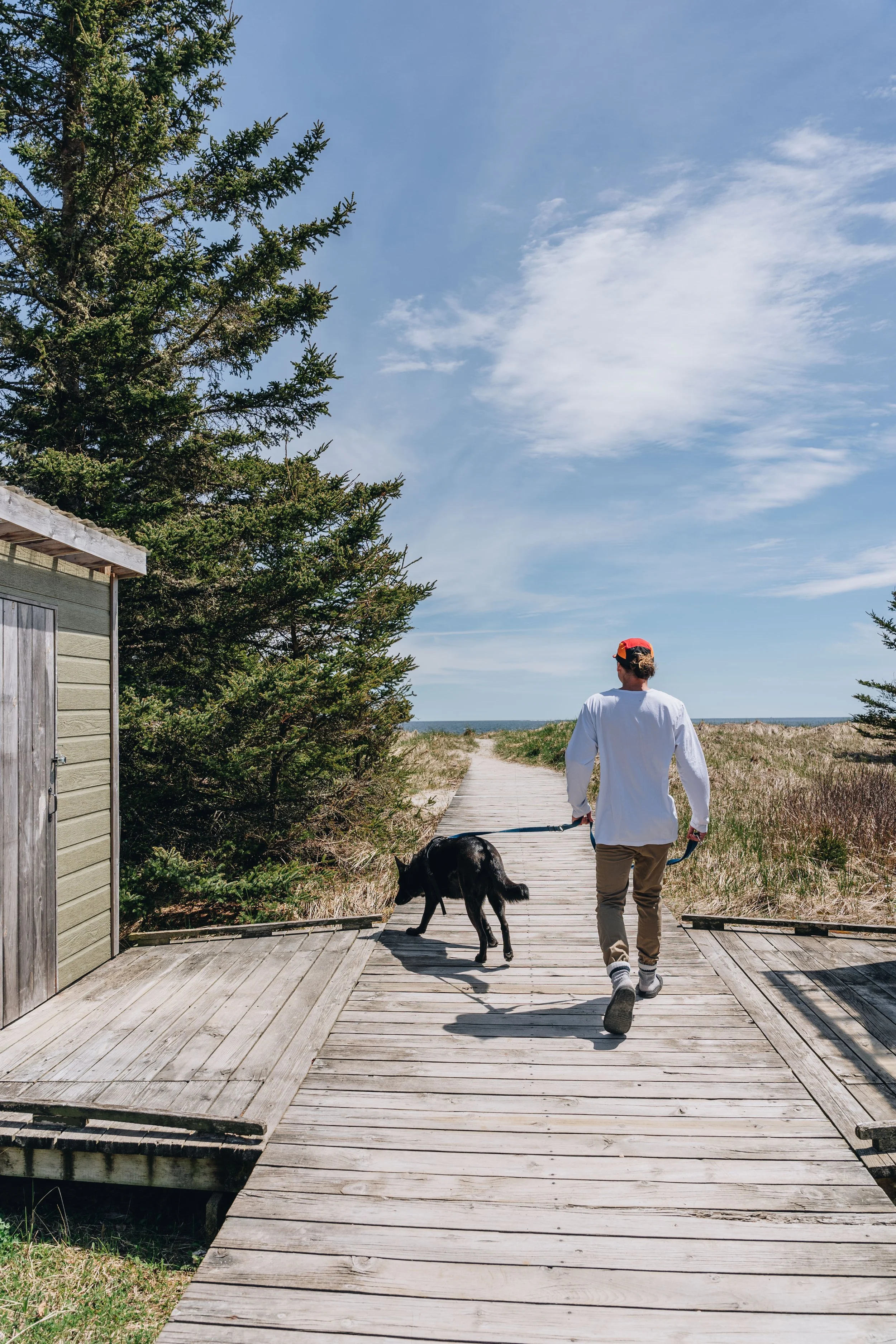 [N-É, Black Point] Bayswater Beach Provincial Park — On va se promener