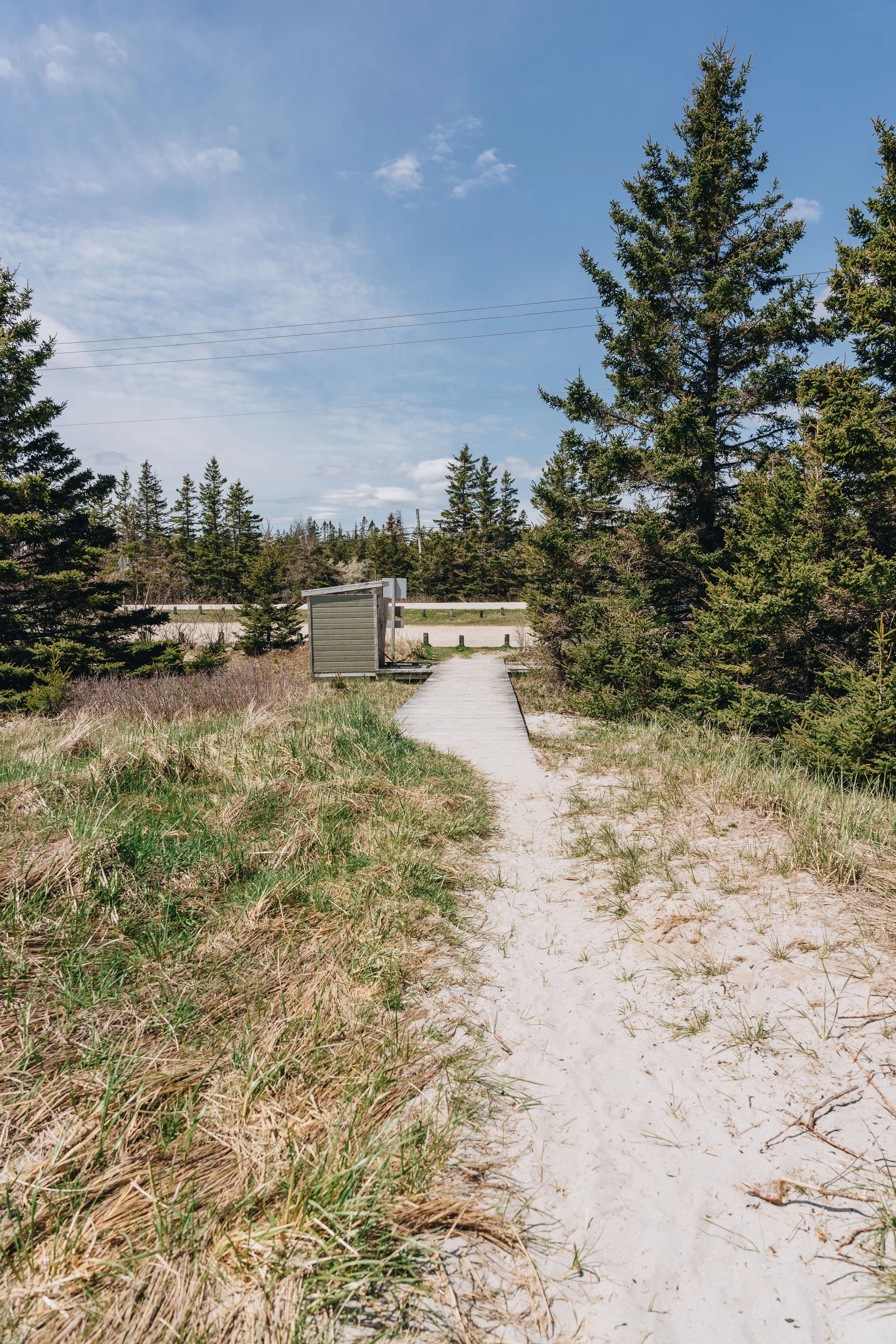 [N-É, Black Point] Bayswater Beach Provincial Park — On va se promener