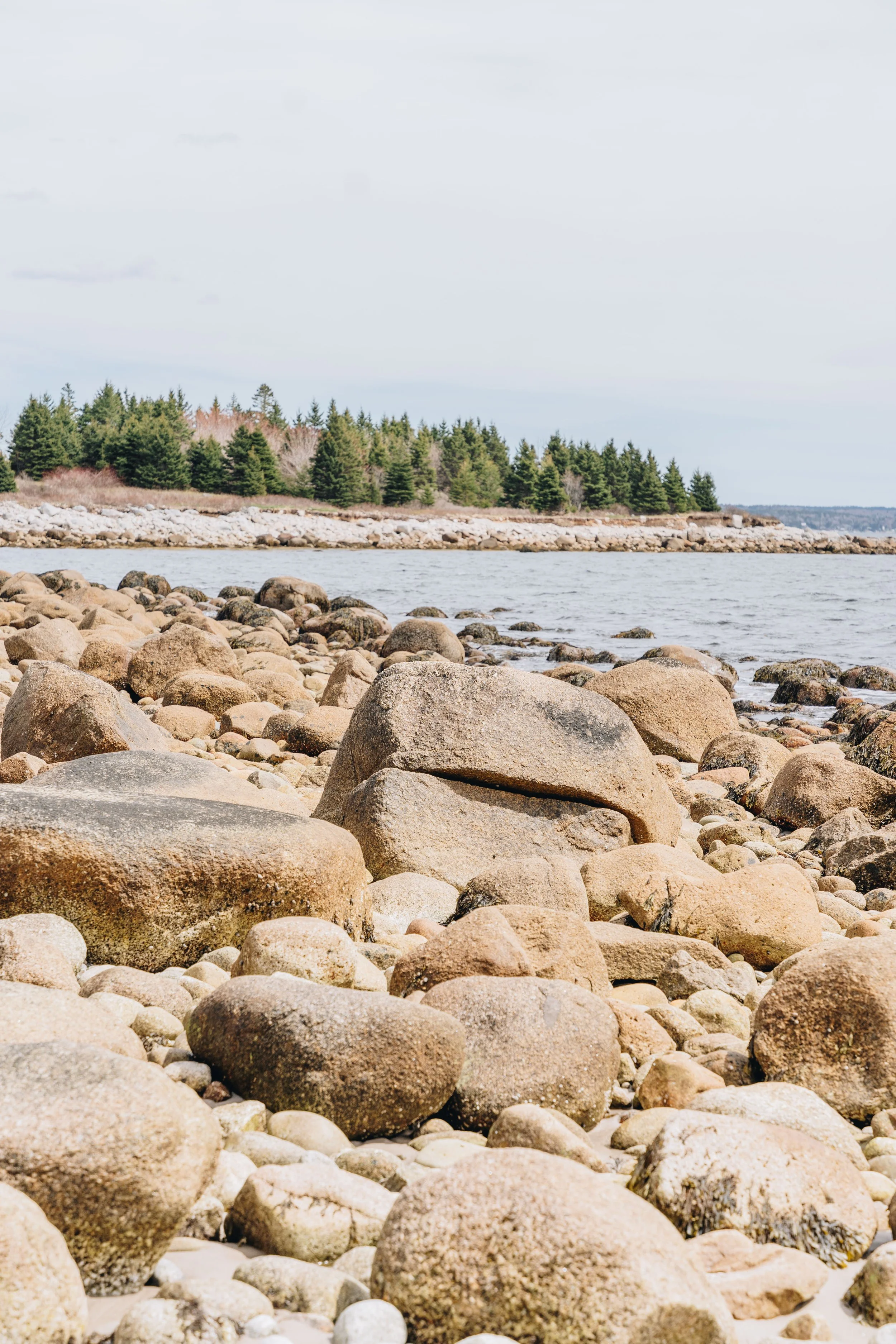 [N-É, Black Point] Parc provincial Cleveland Beach — On va se promener