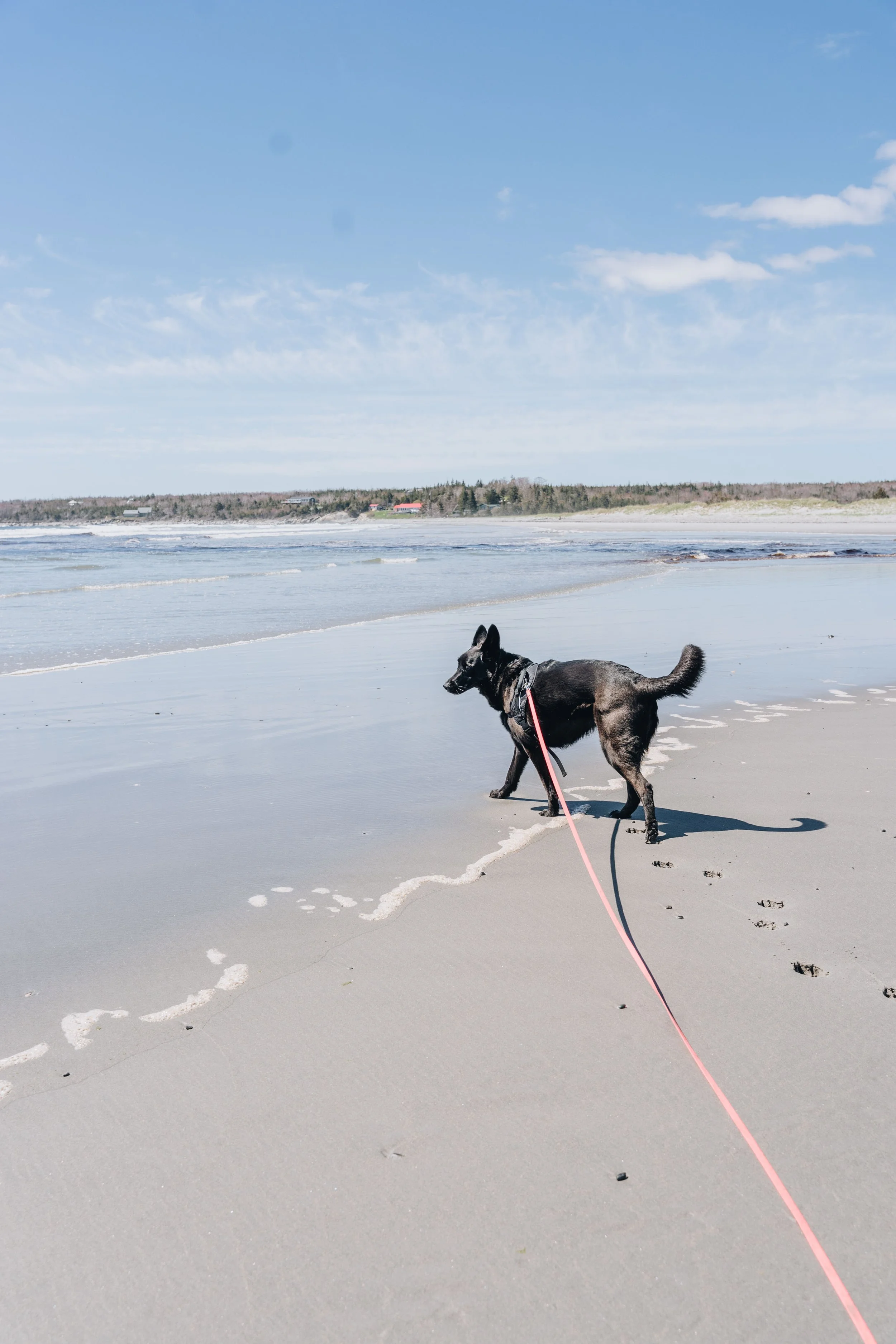 [N-É, Shelburne] Roseway Beach — On va se promener