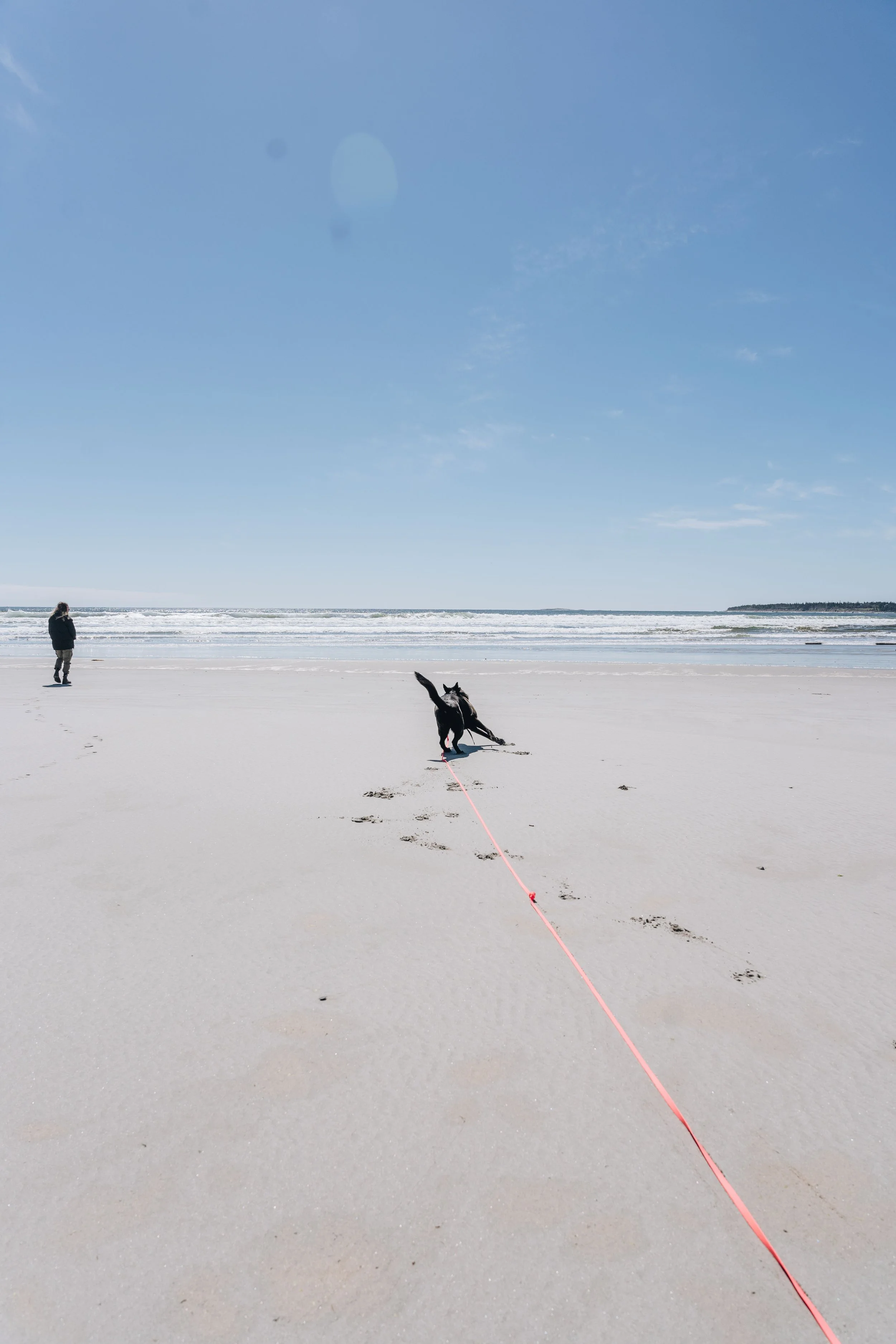 [N-É, Shelburne] Roseway Beach — On va se promener