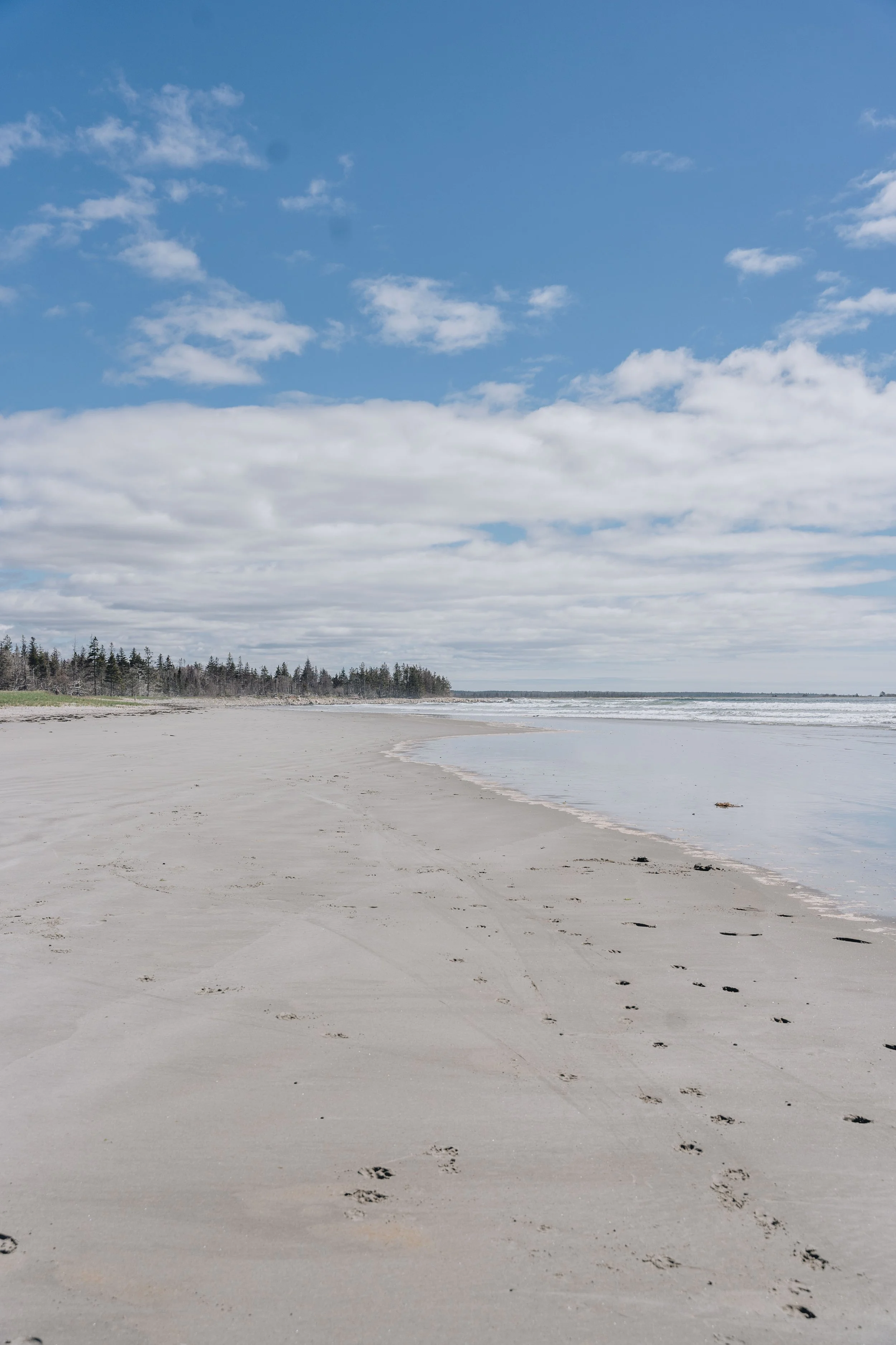 [N-É, Shelburne] Roseway Beach — On va se promener